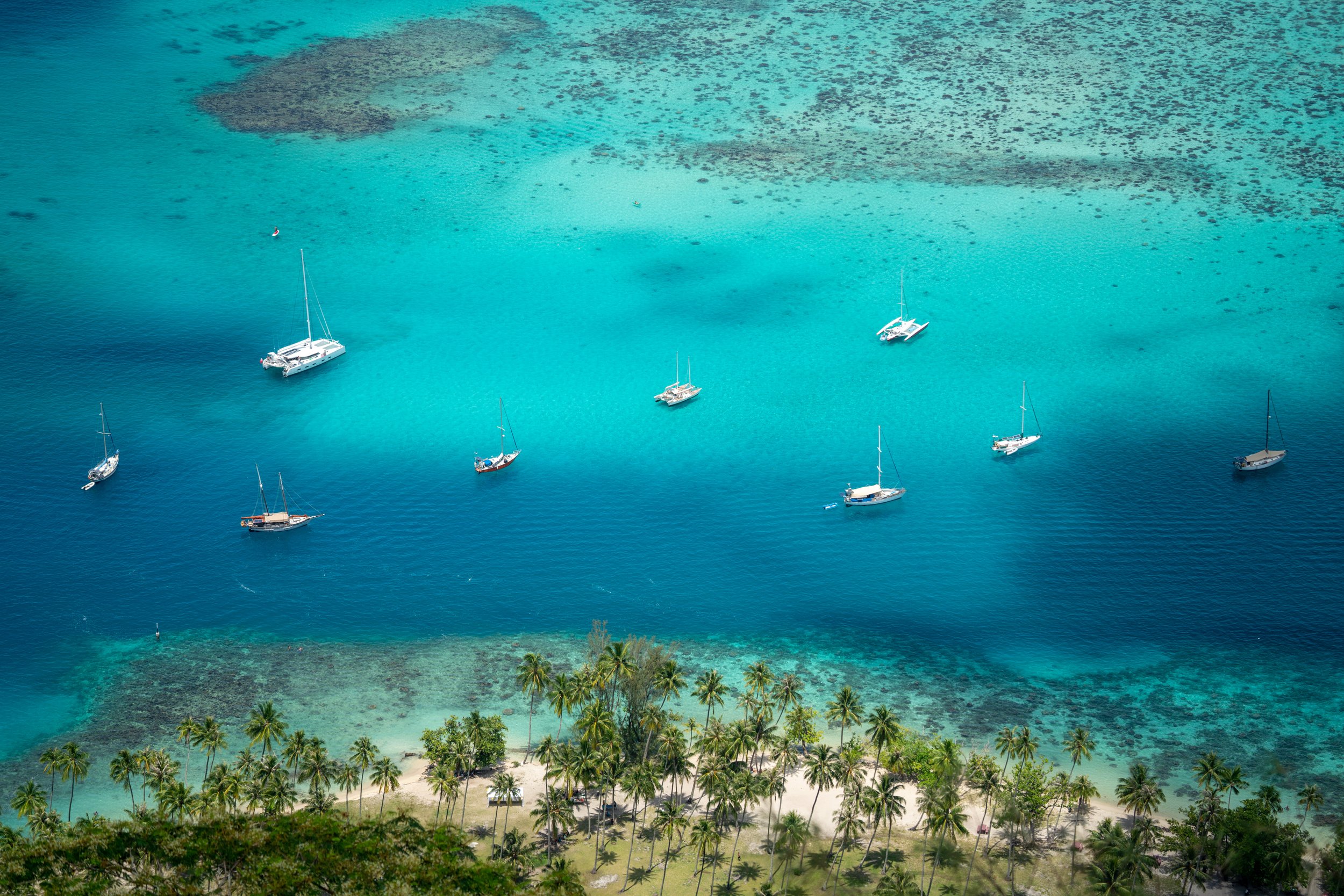 10 Best Things to Do on Moʻorea, French Polynesia — noahawaii