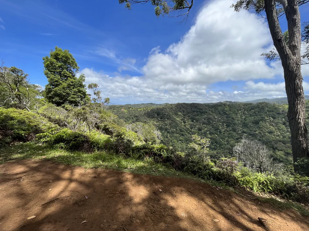 Hiking the ʻAiea Loop Trail on Oʻahu, Hawaiʻi — noahawaii