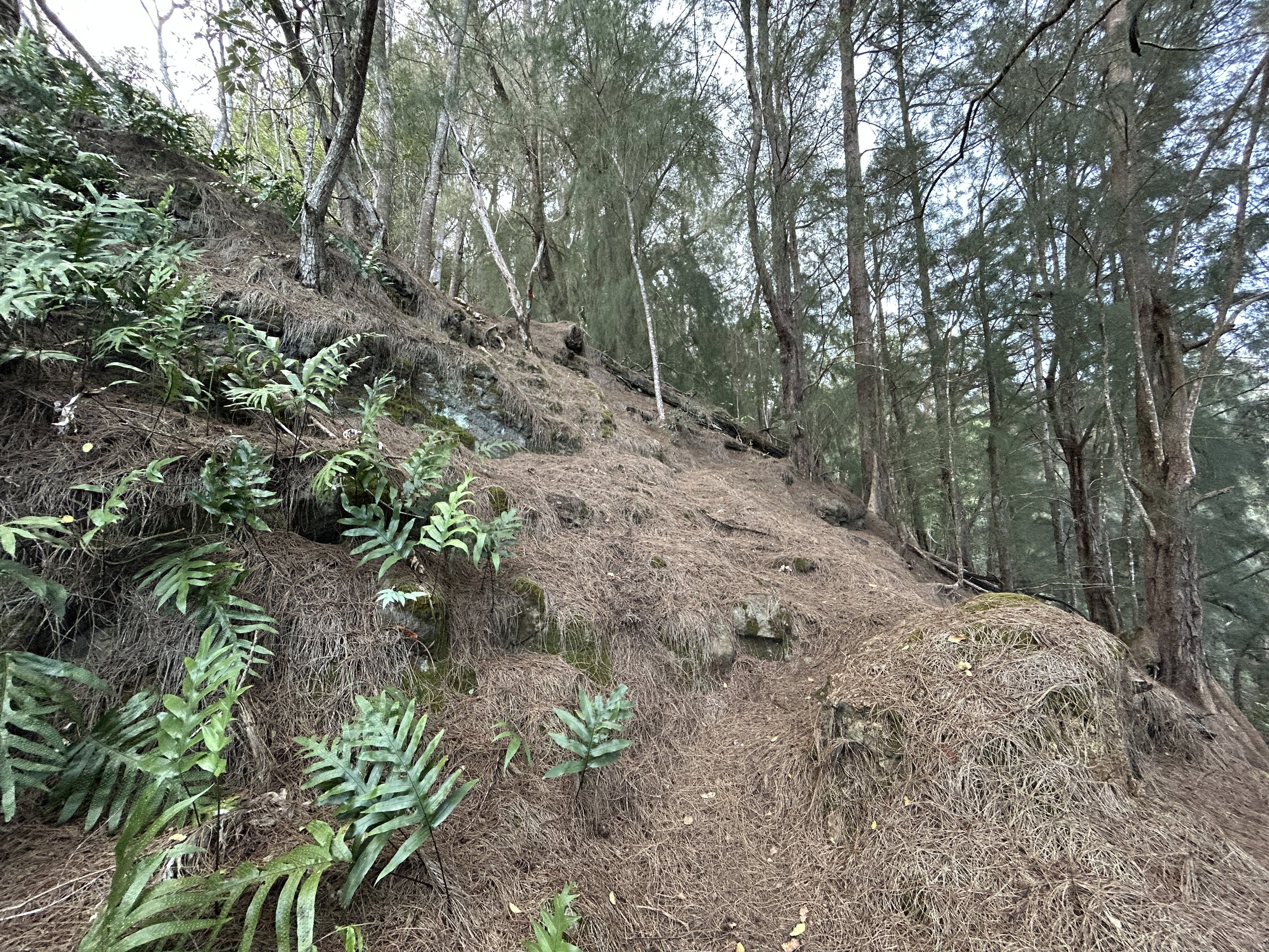 Hiking the Pyramid Rock Loop Trail on Oʻahu — noahawaii