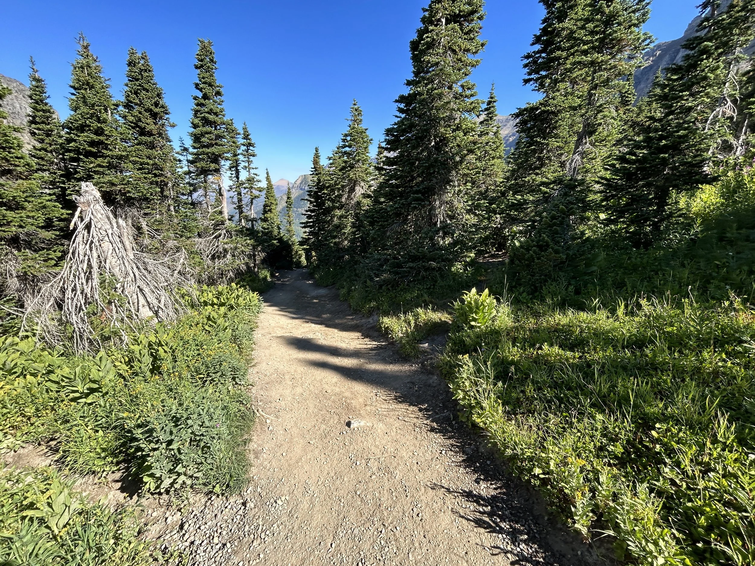 Hiking the Highline Trail (The Loop) in Glacier National Park — noahawaii