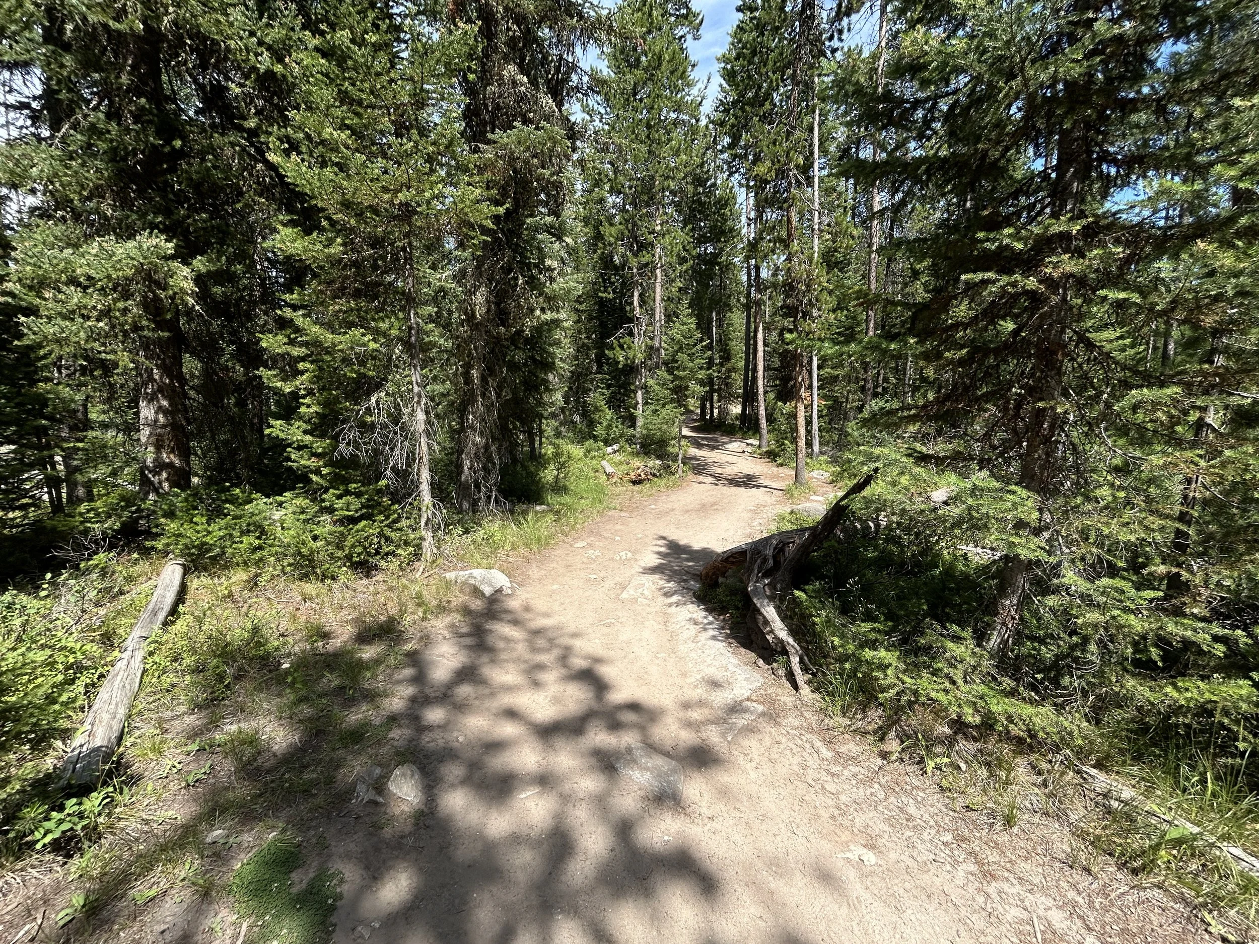 Hiking the String Lake Loop Trail in Grand Teton National Park — noahawaii