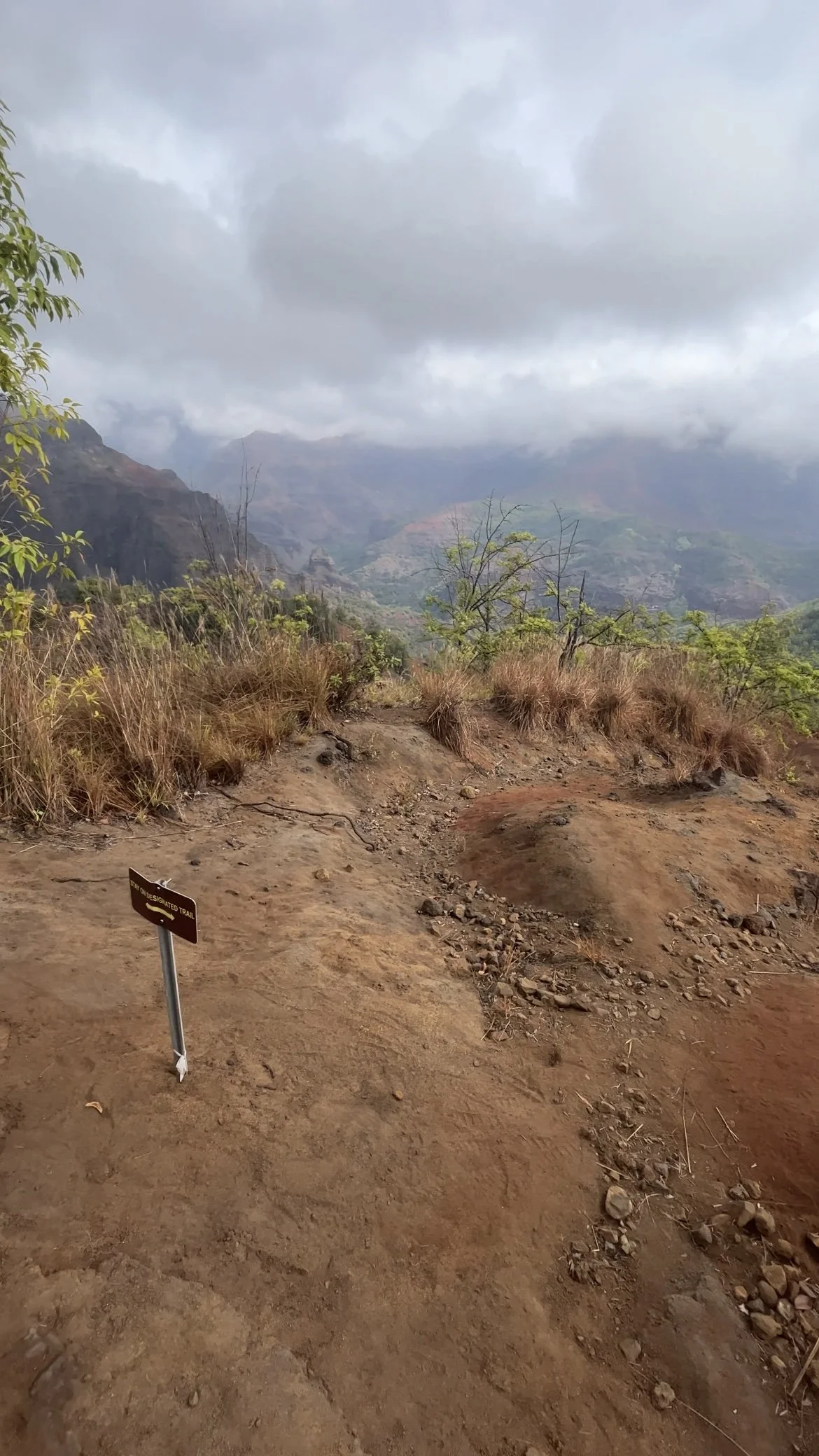 Hiking the Kukui Trail to the Lonomea Shelter on Kauaʻi — noahawaii