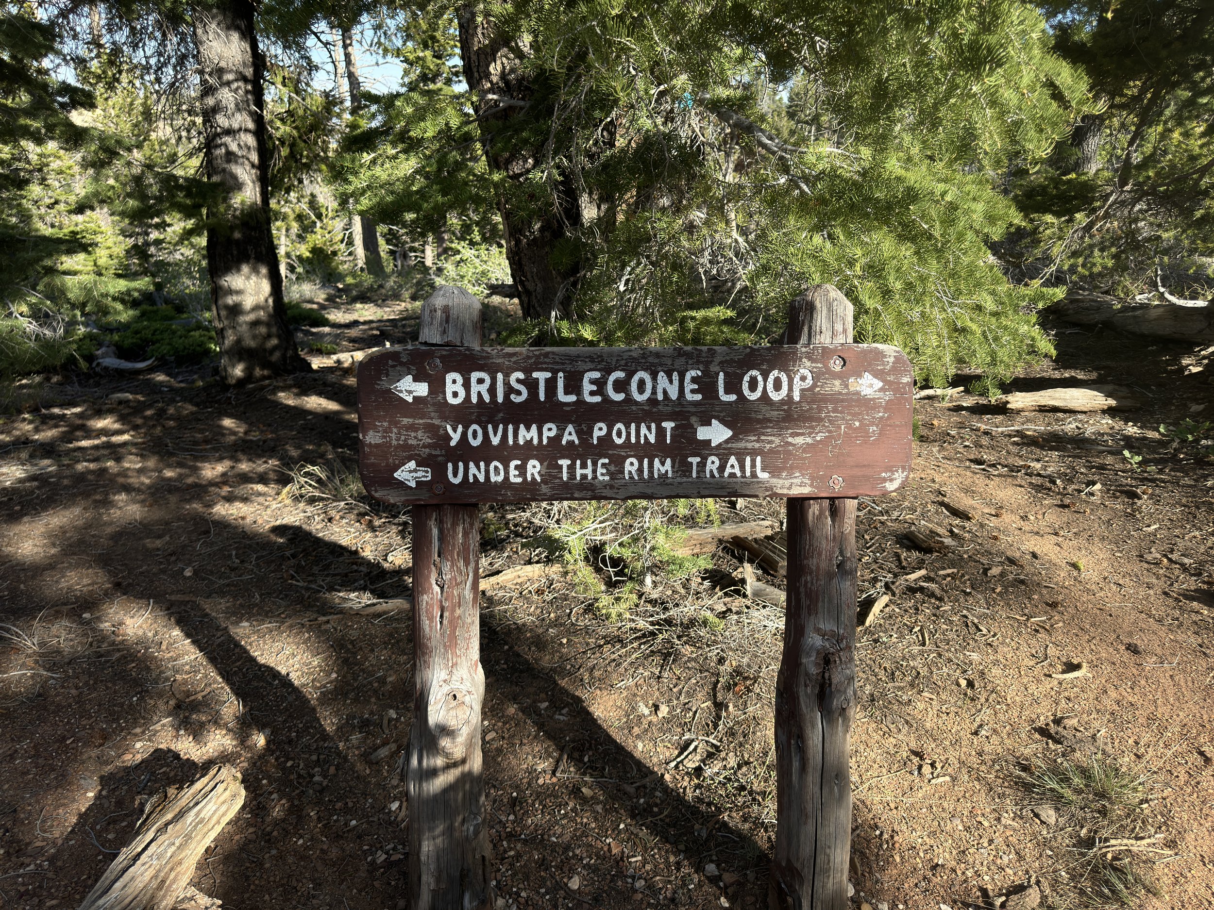 Hiking the Bristlecone Loop Trail in Bryce Canyon National Park — noahawaii