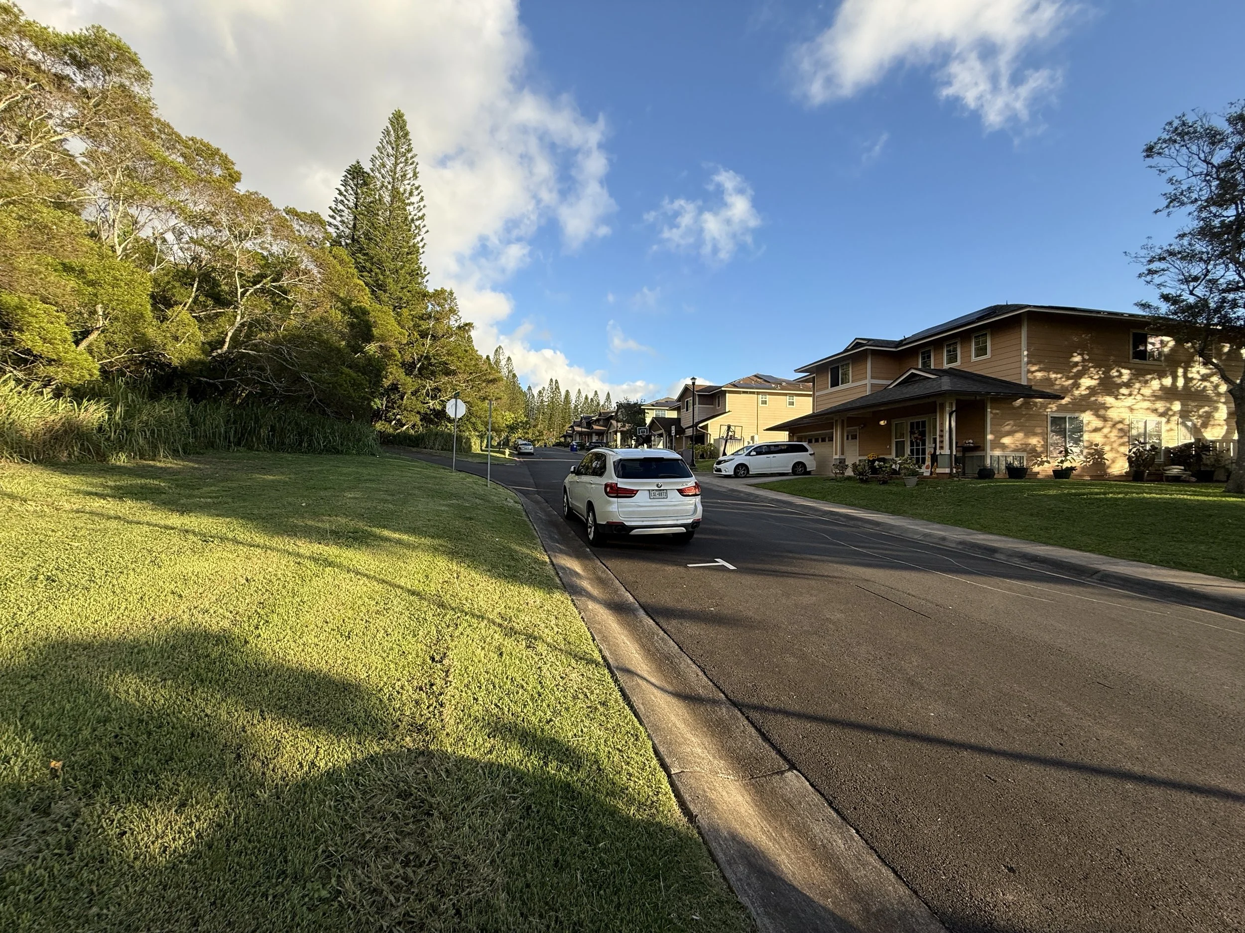 Hiking the Tripler Ridge Trail on Oʻahu, Hawaiʻi — noahawaii