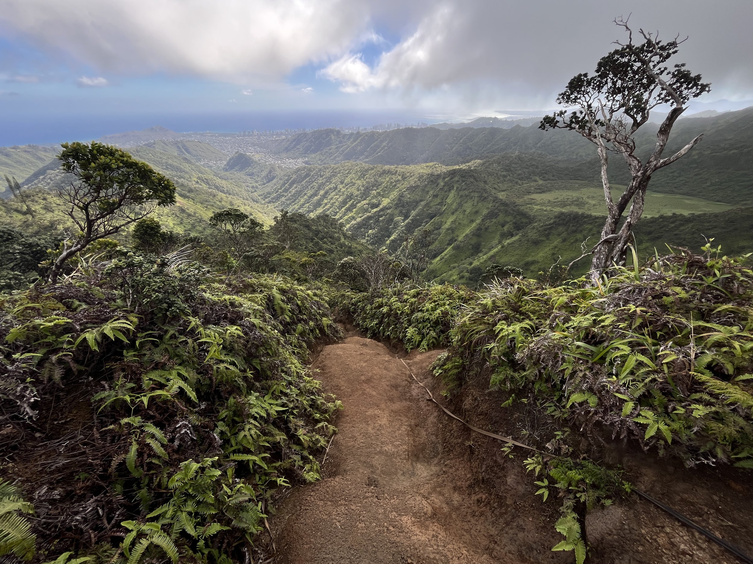 Hiking the Mauʻumae Ridge Trail to Puʻu Lanipō on Oʻahu — noahawaii