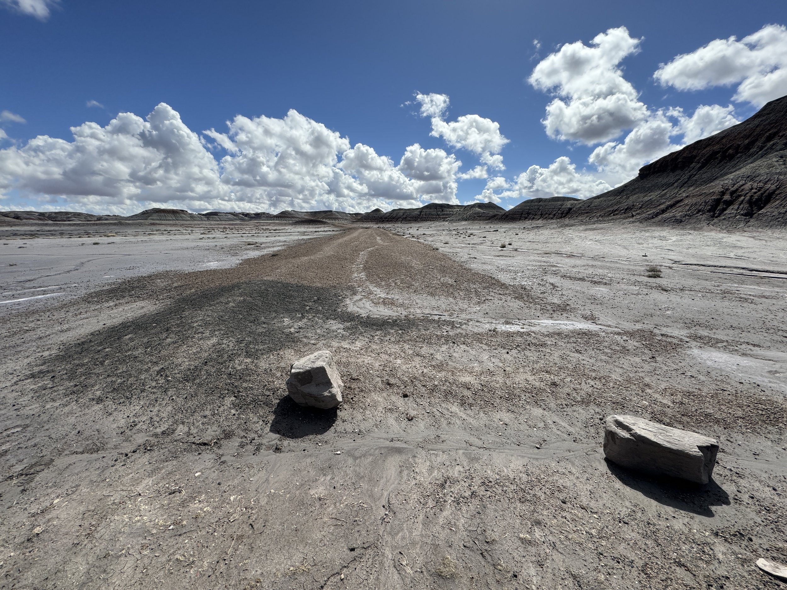 Hiking the Historic Blue Forest Trail in Petrified Forest National Park ...