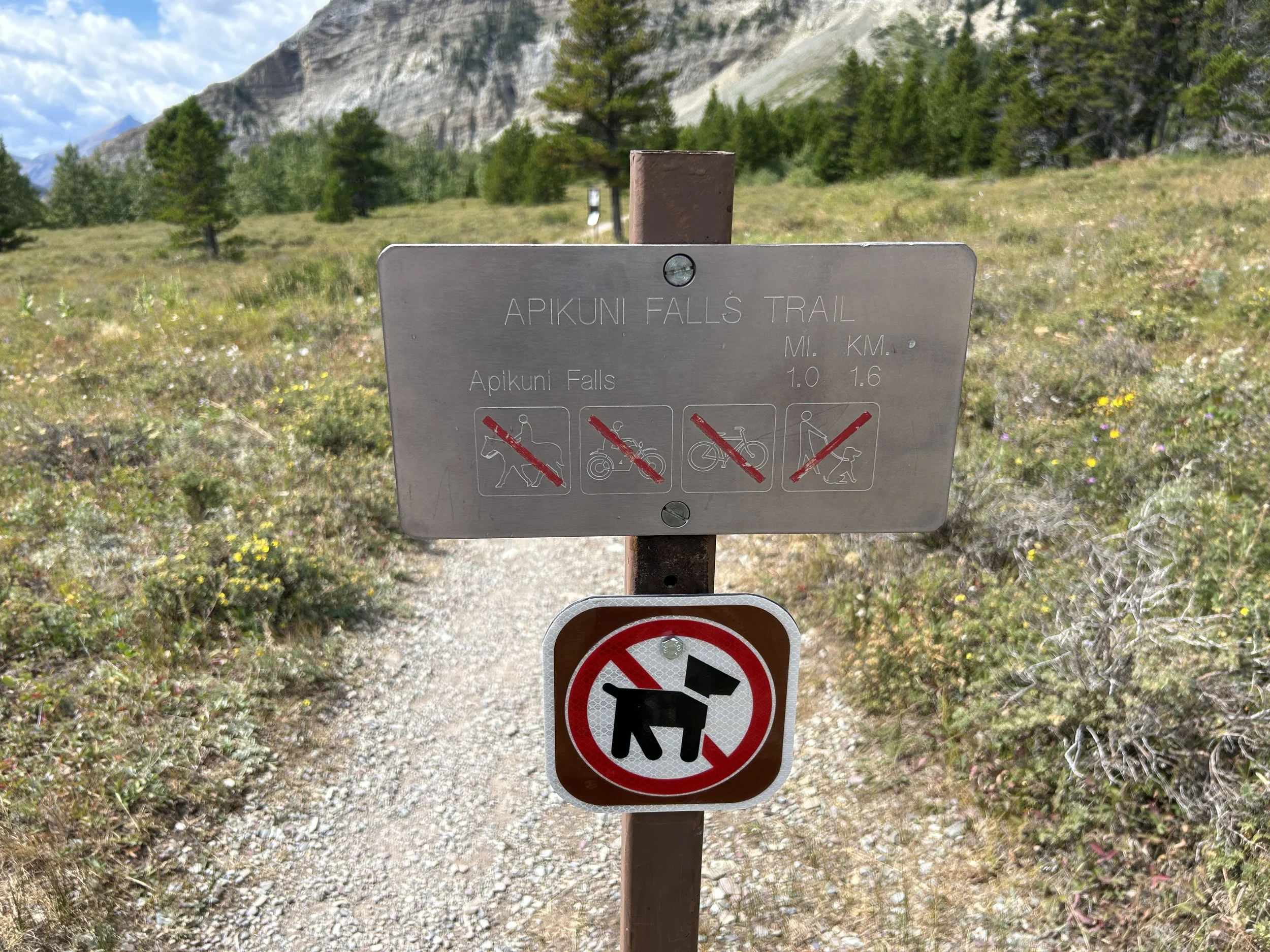 Hiking the Apikuni Falls Trail in Glacier National Park — noahawaii