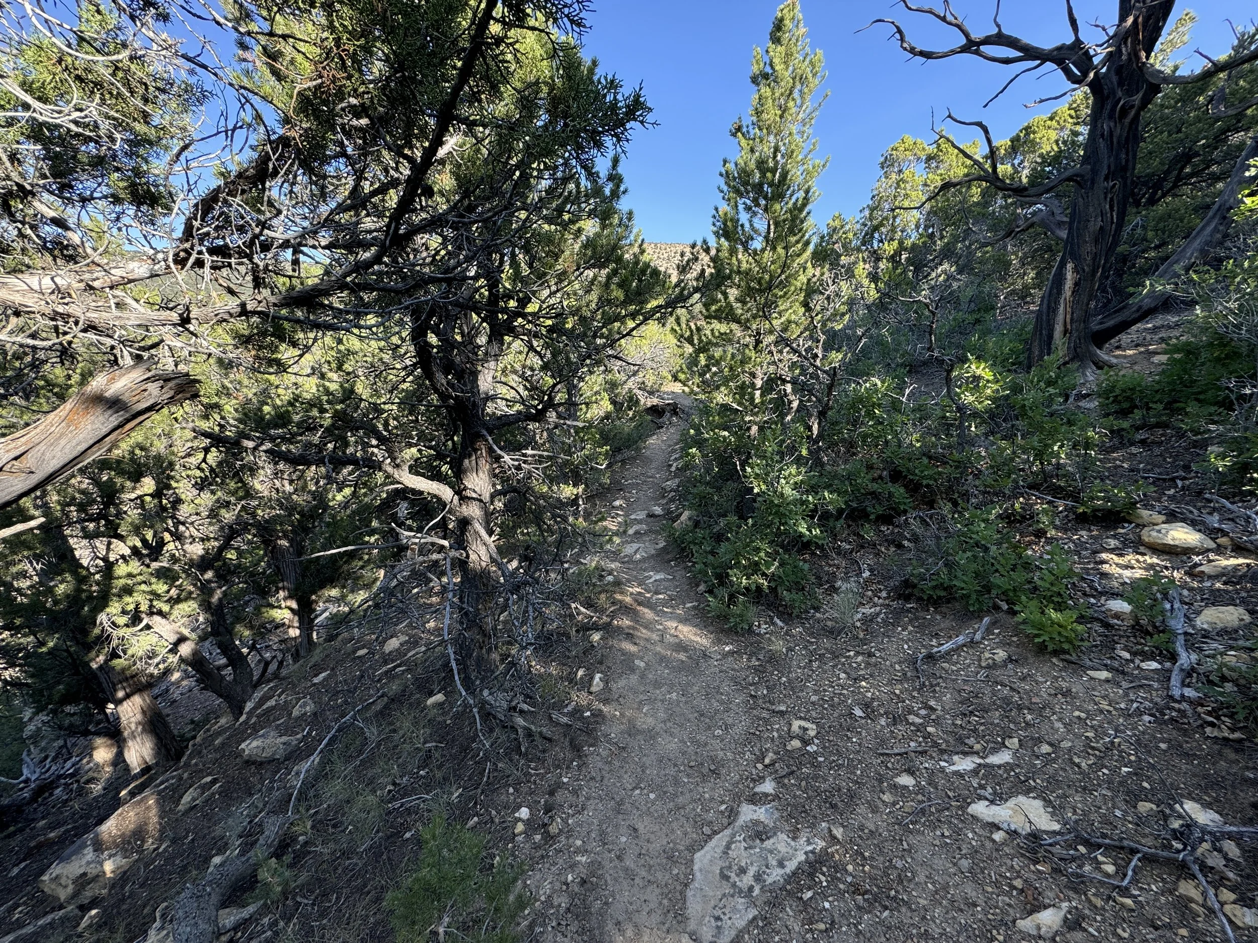 Hiking the Pinyon Draw Trail (S.O.B. Draw) in Black Canyon of the ...