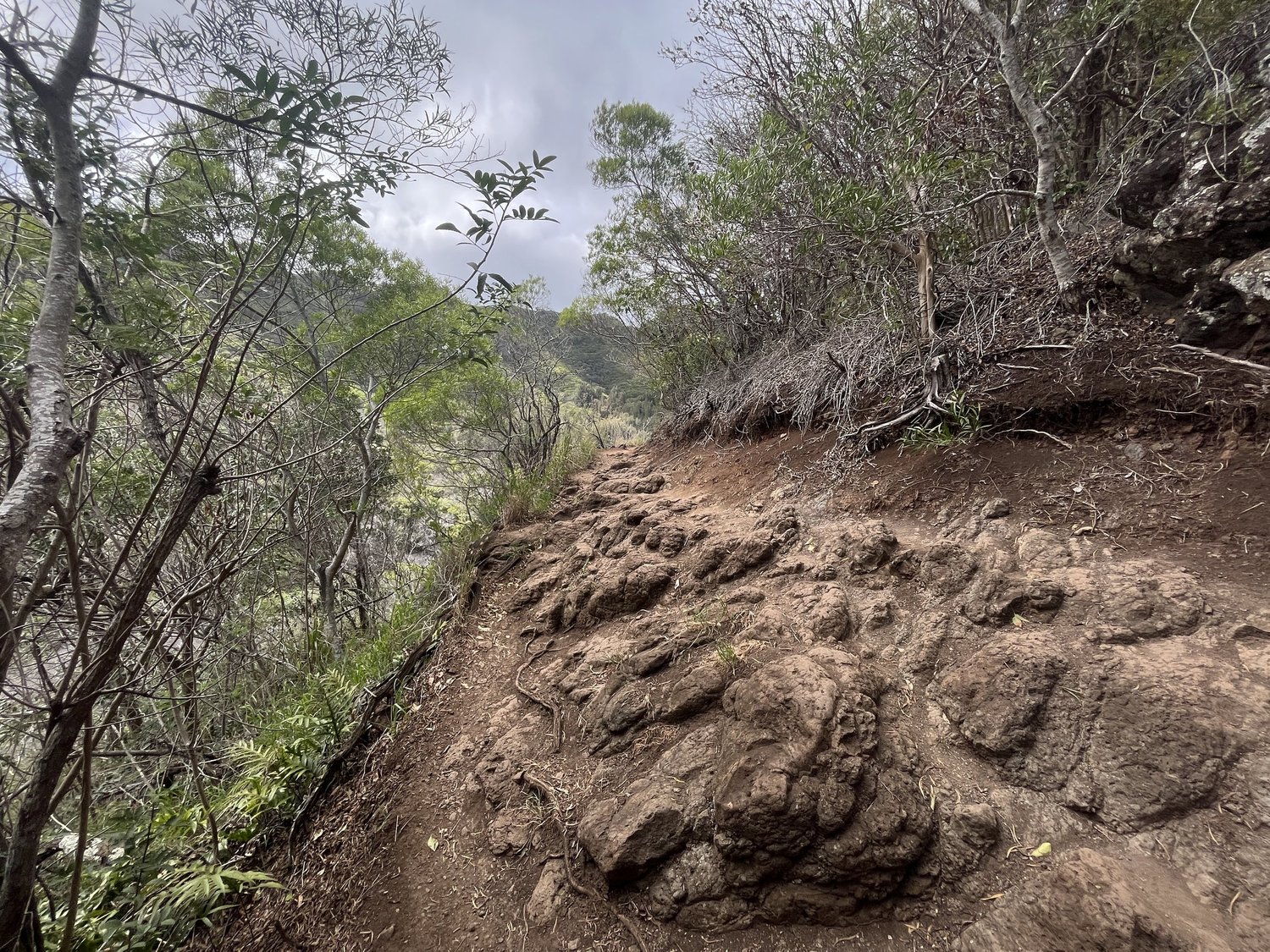 Hiking the Kuliʻouʻou Ridge Trail on Oʻahu, Hawaiʻi — noahawaii
