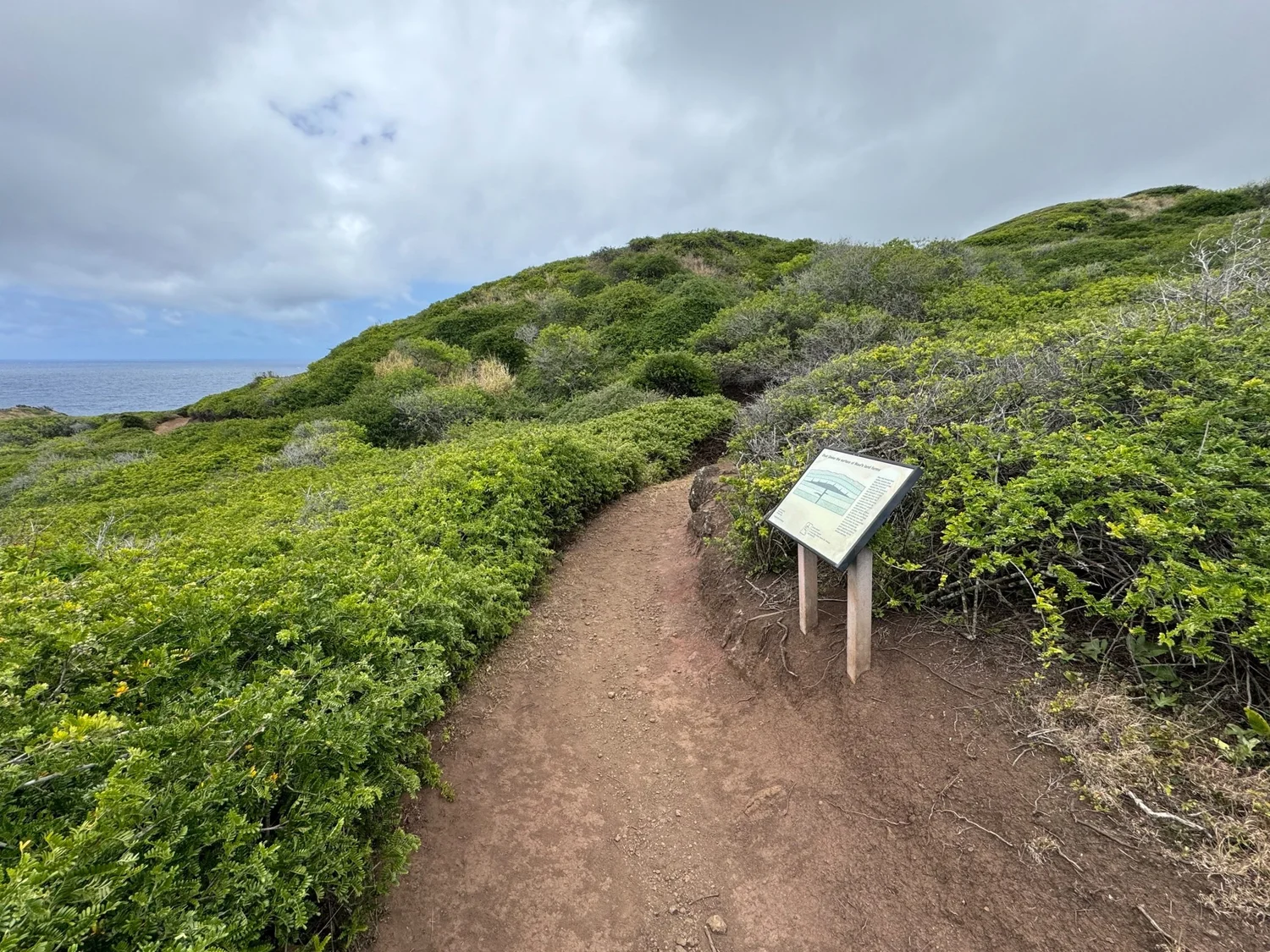 Hiking the ʻŌhai Loop Trail on Maui, Hawaiʻi — noahawaii