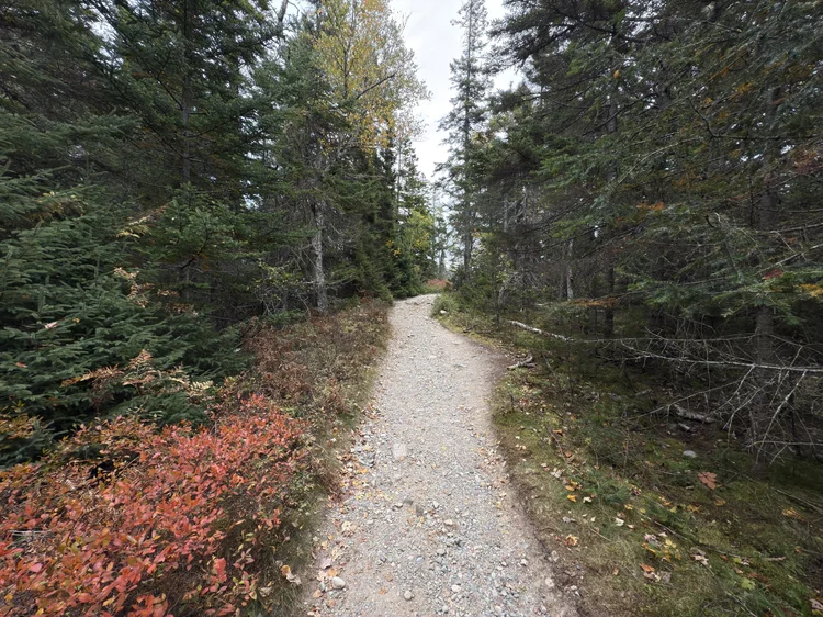Hiking the Wonderland Trail in Acadia National Park — noahawaii