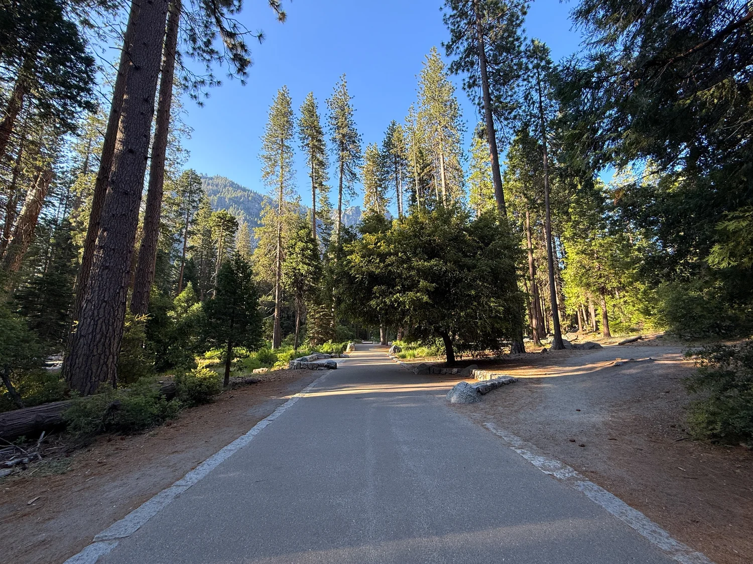 Hiking the Yosemite Valley Loop Trail in Yosemite National Park — noahawaii