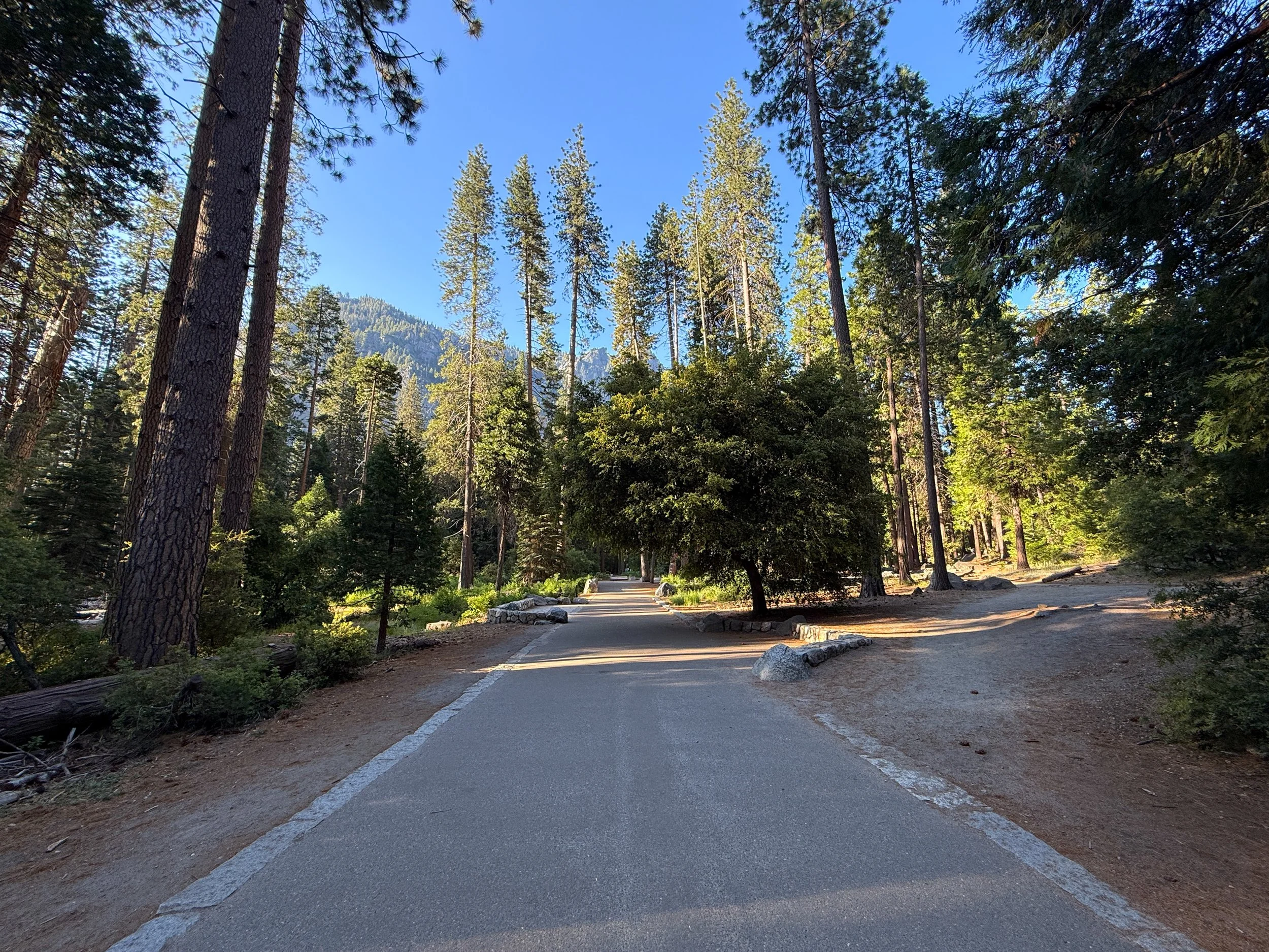 Hiking the Yosemite Valley Loop Trail in Yosemite National Park — noahawaii