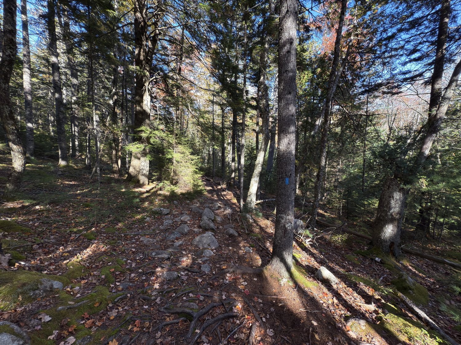 Hiking the Hadlock Ponds Loop Trail in Acadia National Park — noahawaii