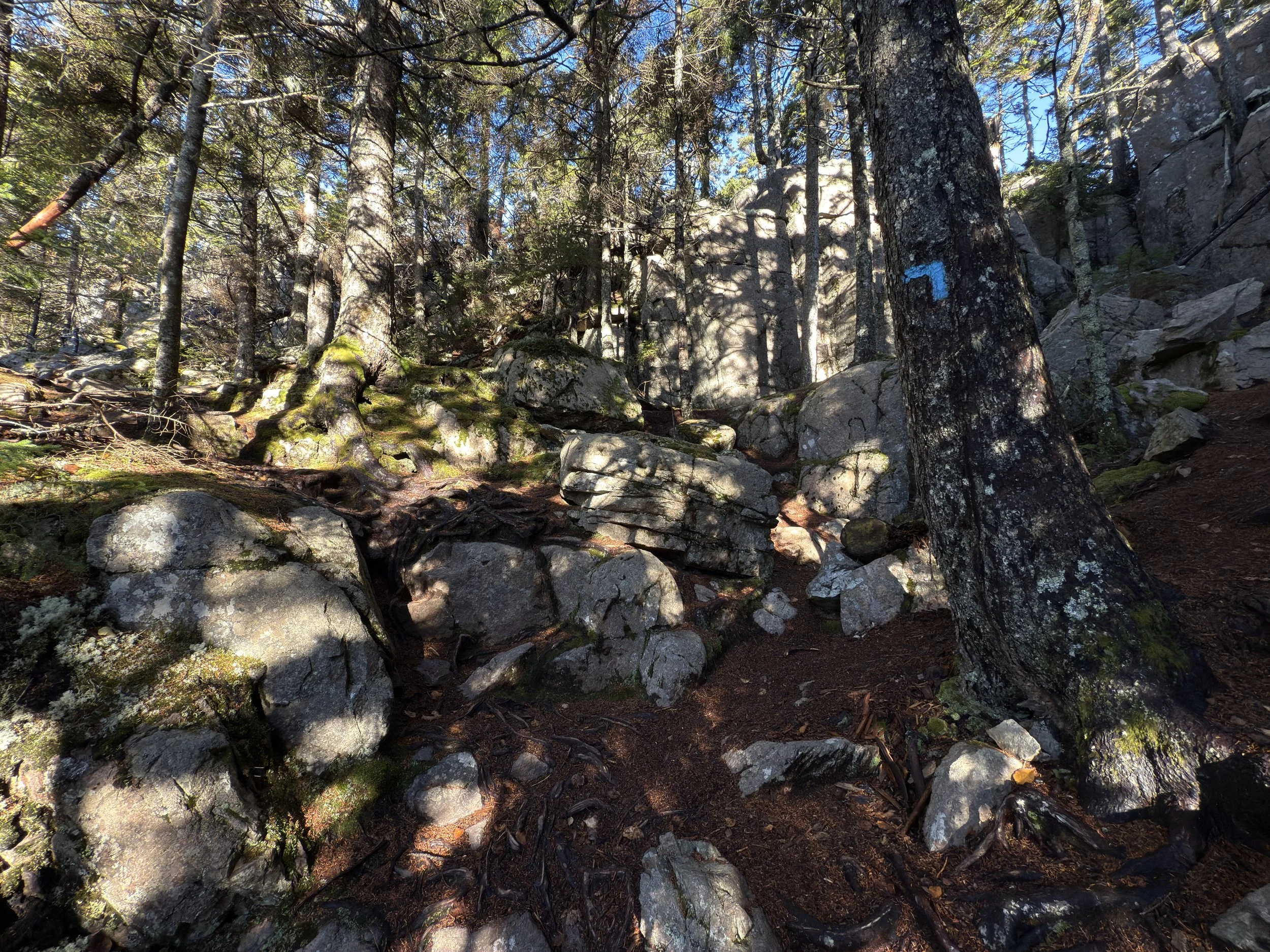 Hiking the Anvil-Schoodic Head-Alder Loop Trail in Acadia National Park ...