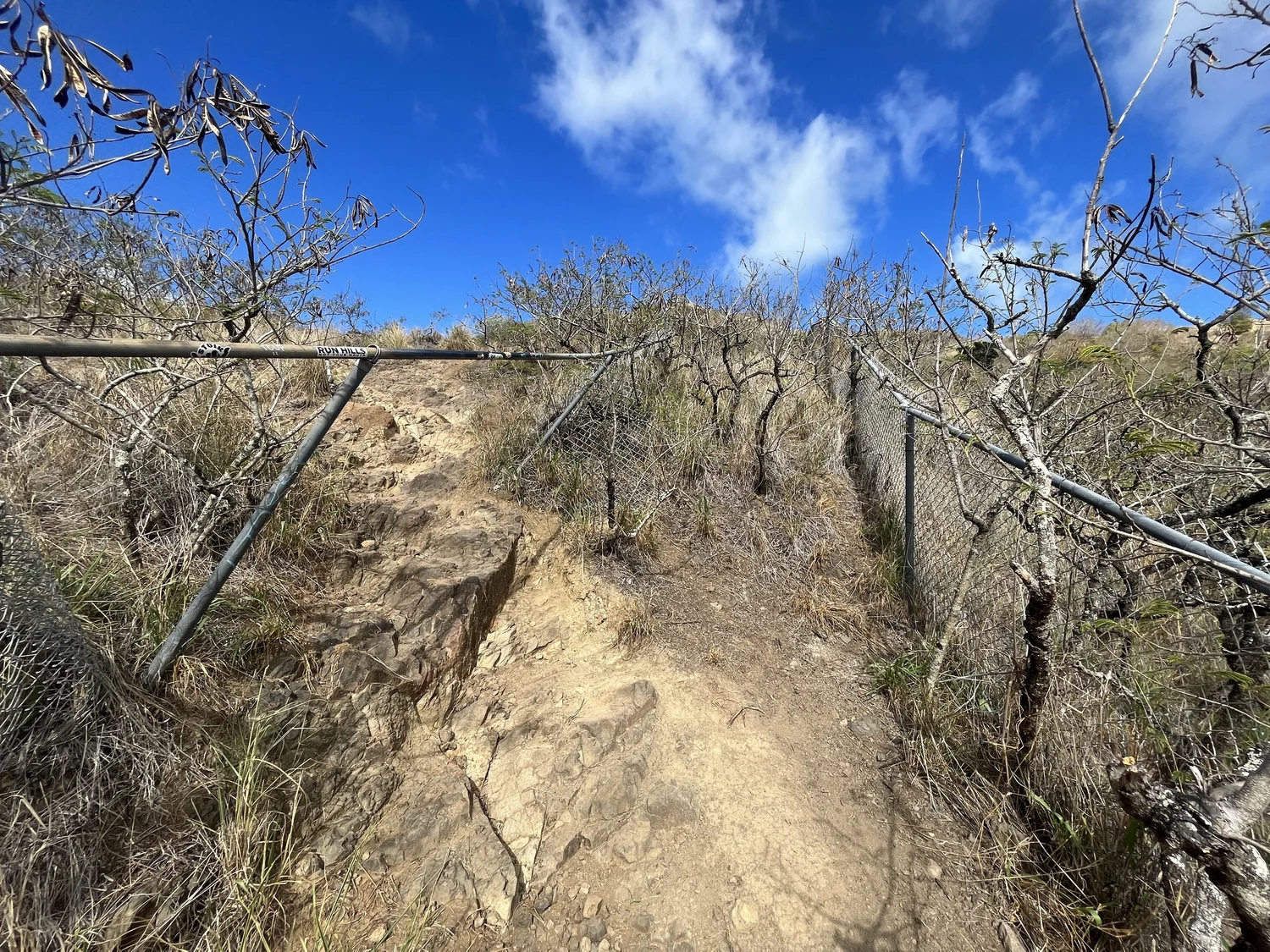 Hiking the Back Way to the Lanikai Pillbox Trail (Kaʻiwa Ridge), Oʻahu ...