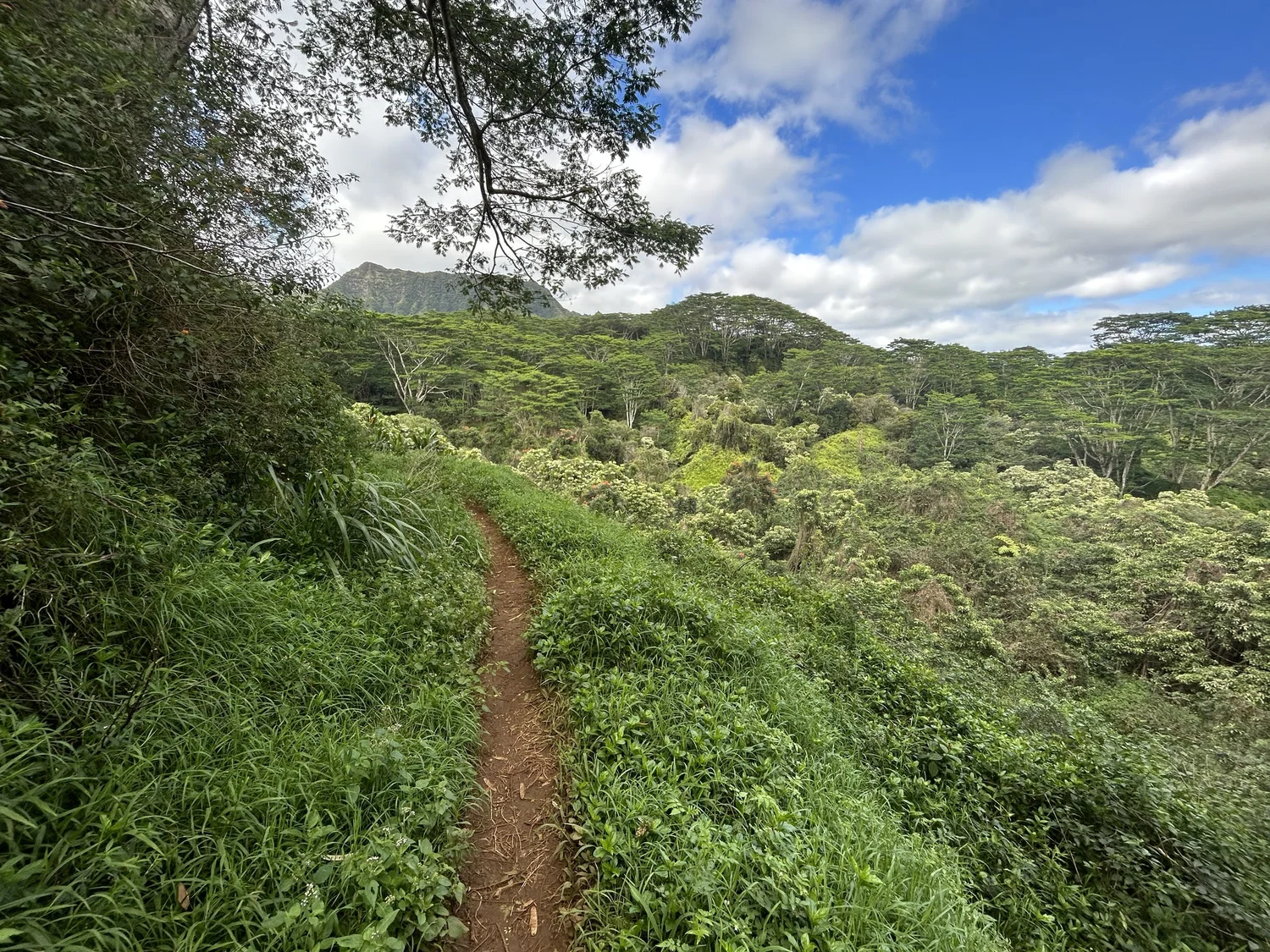20 Best Non-Touristy Things to Do on Kauaʻi — noahawaii