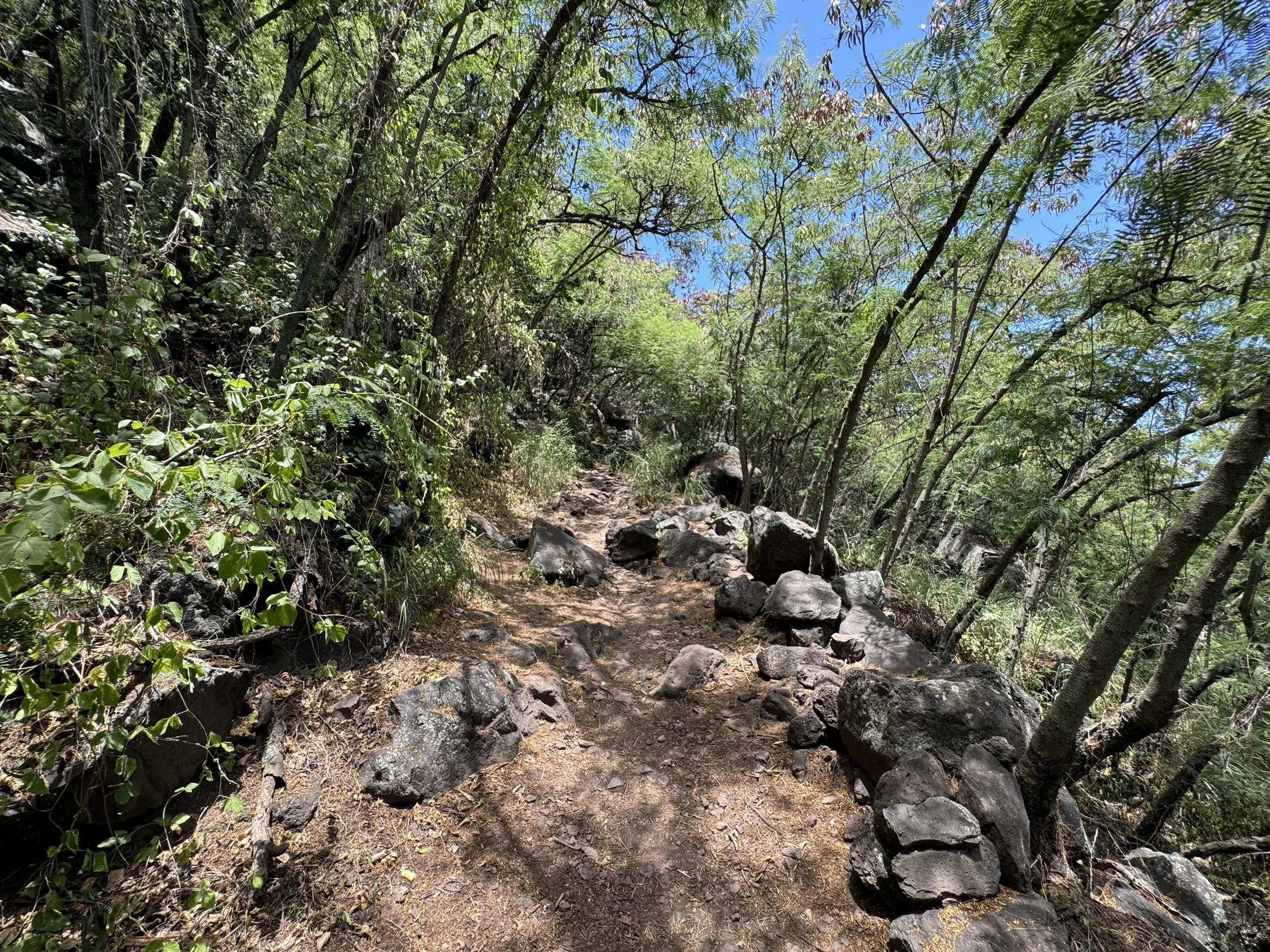 Hiking the Keālia Trail on Oʻahu's North Shore — noahawaii