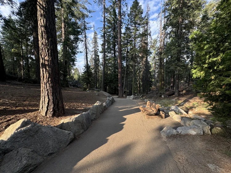 Hiking the Congress Trail in Sequoia National Park — noahawaii