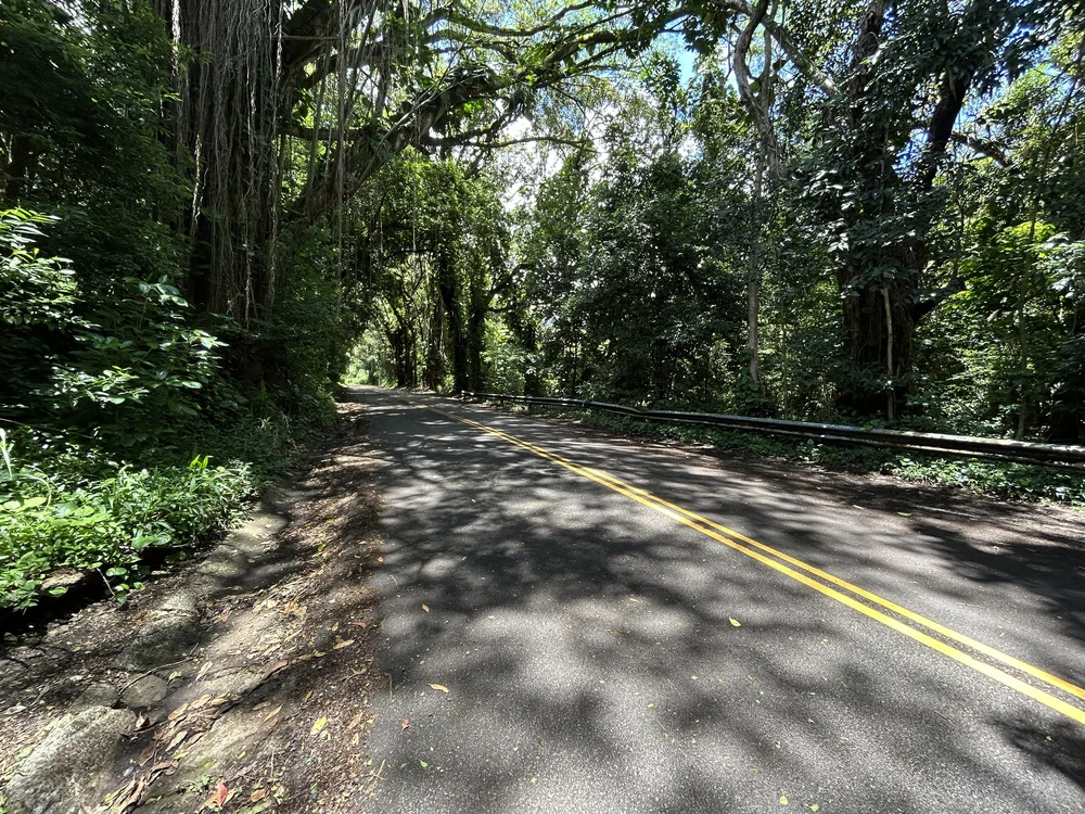 Hiking the Judd Trail & Jackass Ginger Pool on Oʻahu, Hawaiʻi — noahawaii