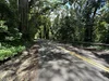 Hiking the Judd Trail & Jackass Ginger Pool on Oʻahu, Hawaiʻi — noahawaii