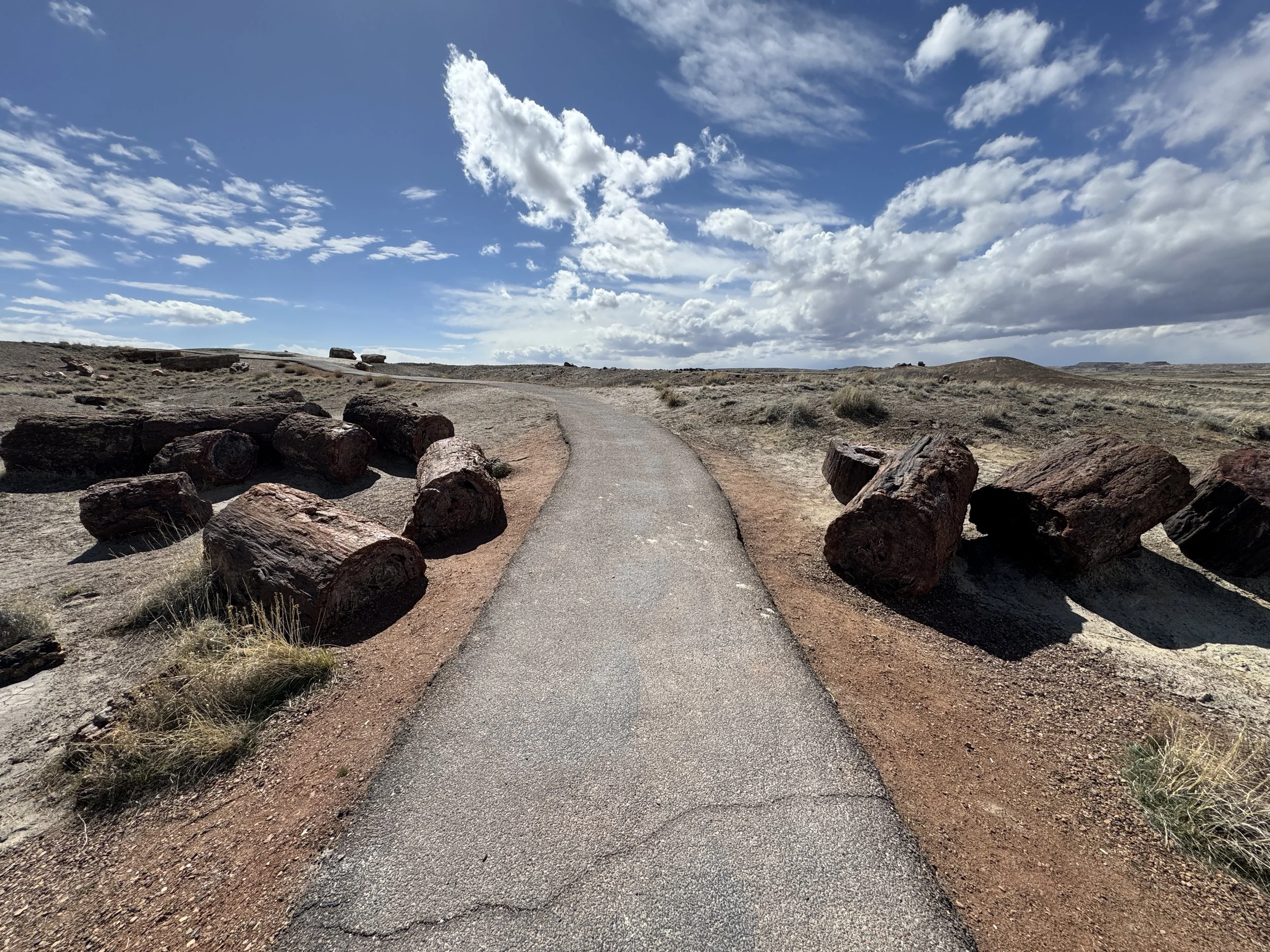 Hiking the Crystal Forest Trail in Petrified Forest National Park ...