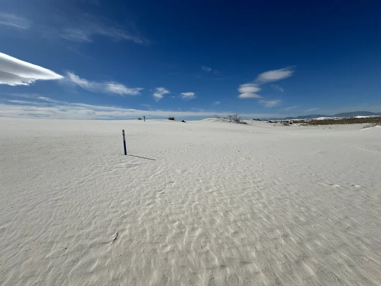 Hiking the Dune Life Nature Trail in White Sands National Park — noahawaii