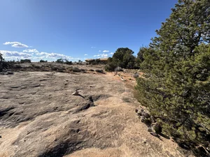 Hiking the Pothole Point Trail in Canyonlands National Park — noahawaii