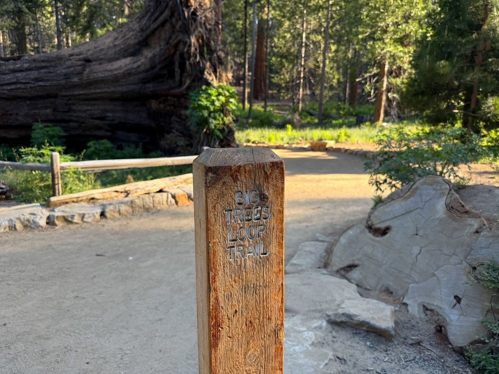 Hiking the Grizzly Giant Loop Trail in Yosemite National Park — noahawaii