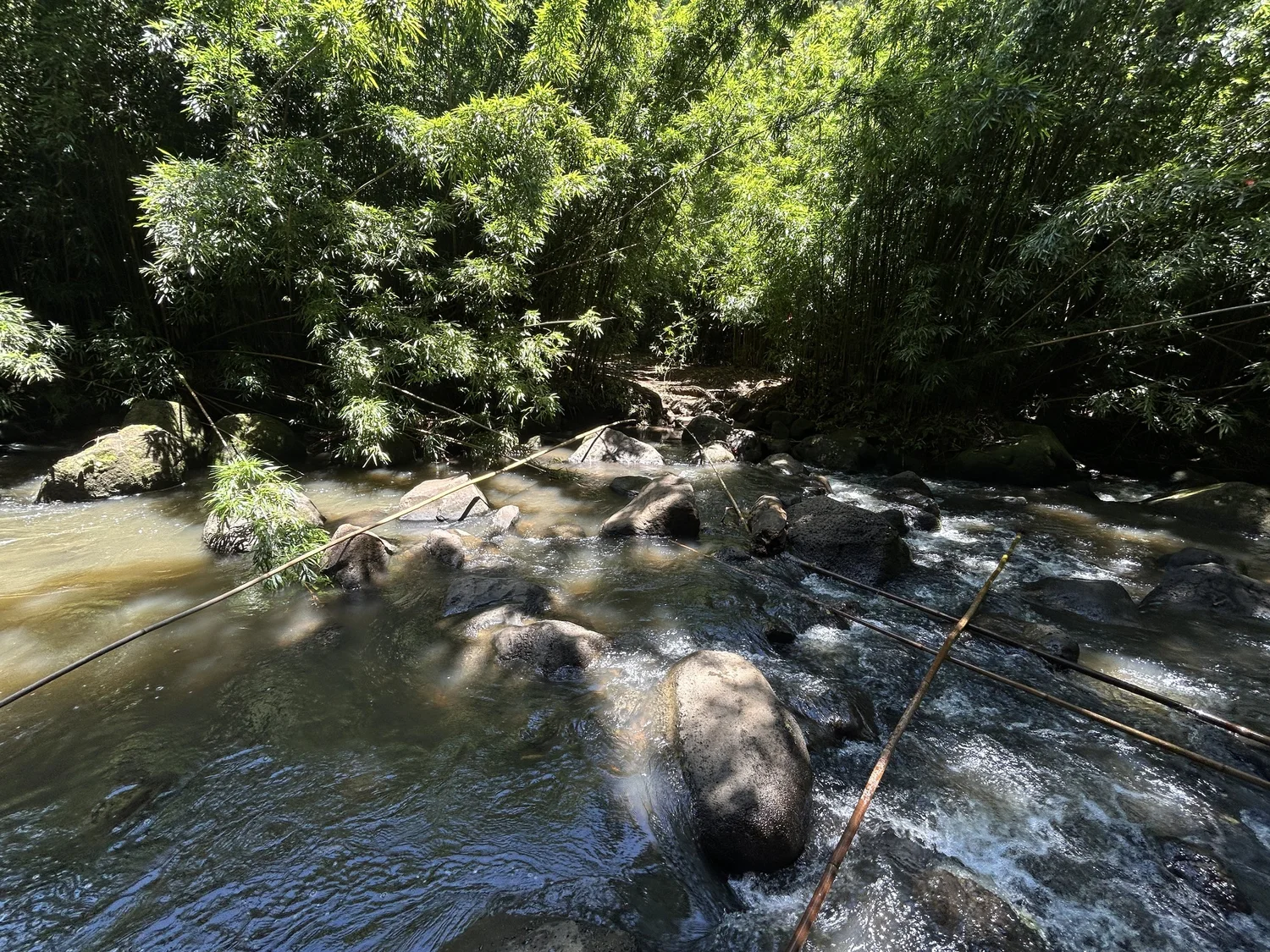 Hiking the Judd Trail & Jackass Ginger Pool on Oʻahu, Hawaiʻi — noahawaii