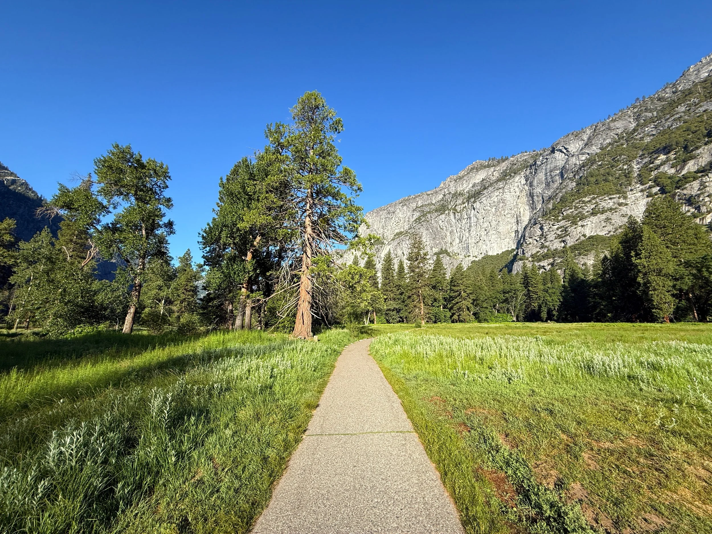 Hiking the Cook’s Meadow Loop Trail in Yosemite National Park — noahawaii