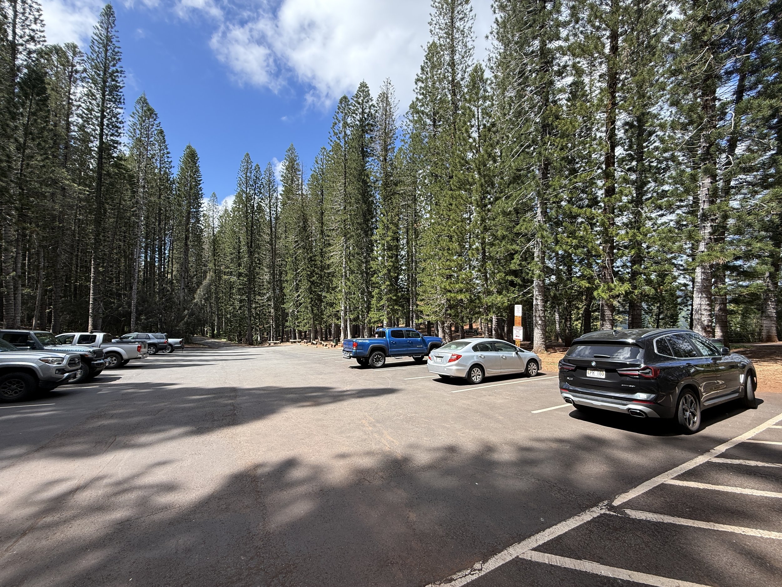 Hiking the Waʻahila Ridge Trail to Mt. Olympus (ʻAwaʻawaloa) on Oʻahu ...