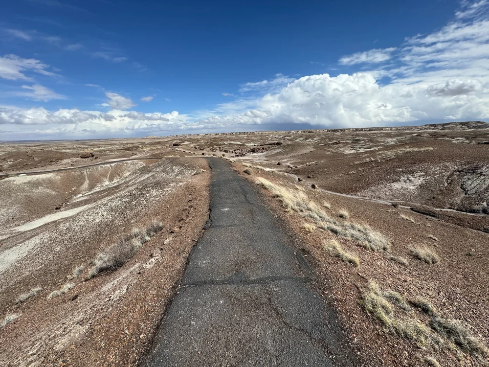 Hiking the Crystal Forest Trail in Petrified Forest National Park ...