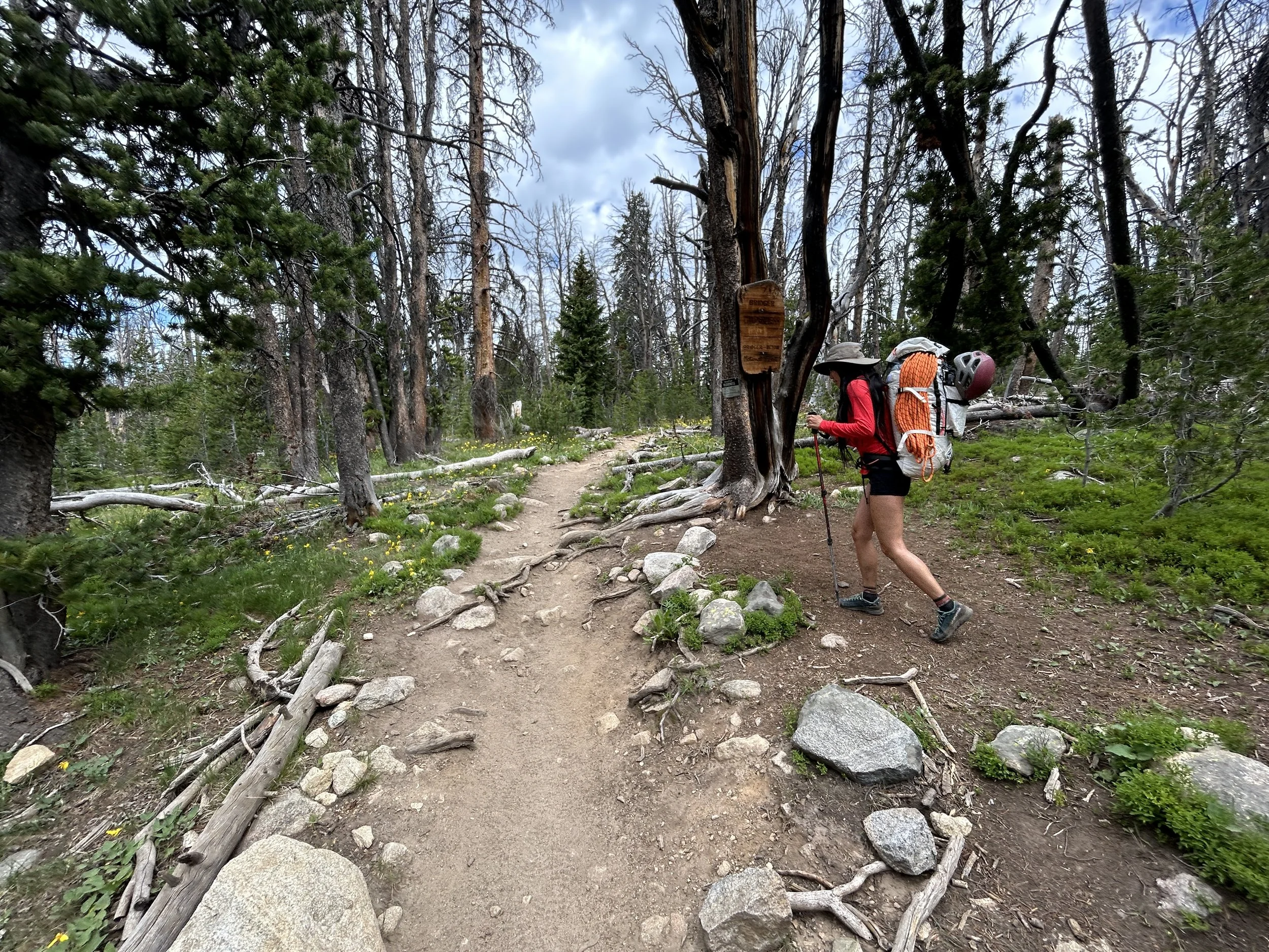 Climbing Gannett Peak via Titcomb Basin: The Tallest Peak in Wyoming ...