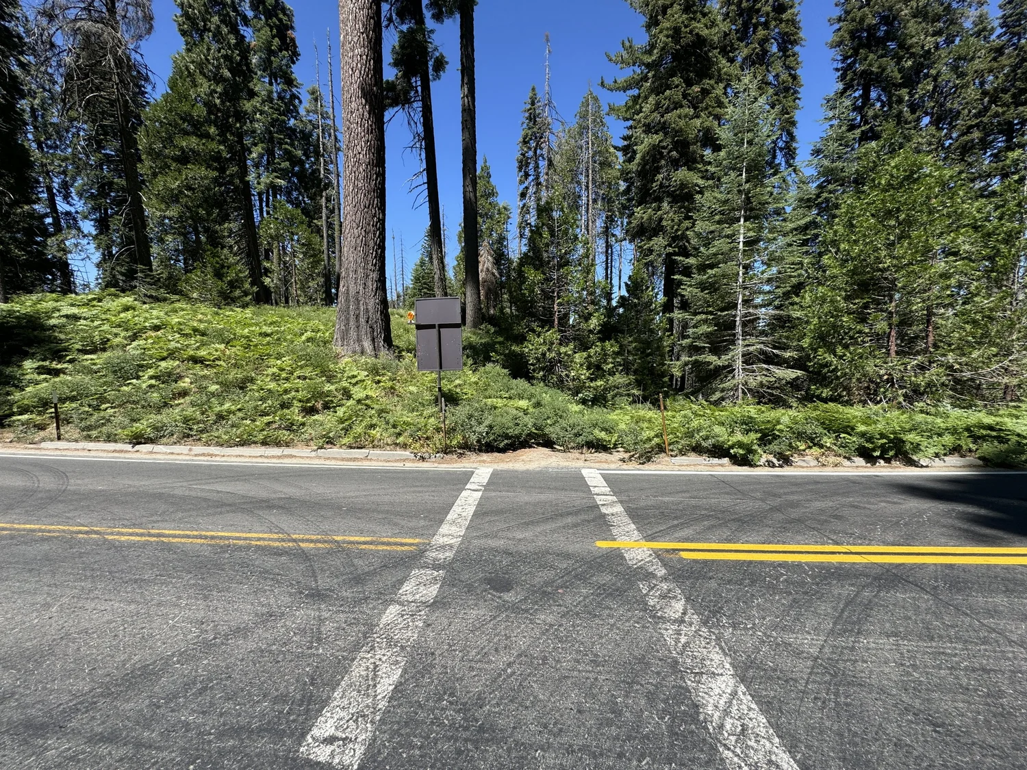 Hiking the North Boundary-Lone Pine Loop Trail in Kings Canyon National Park — noahawaii