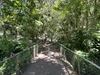 Hiking the Tantalus Loop Trail to the Pauoa Flats Bench on Oʻahu ...