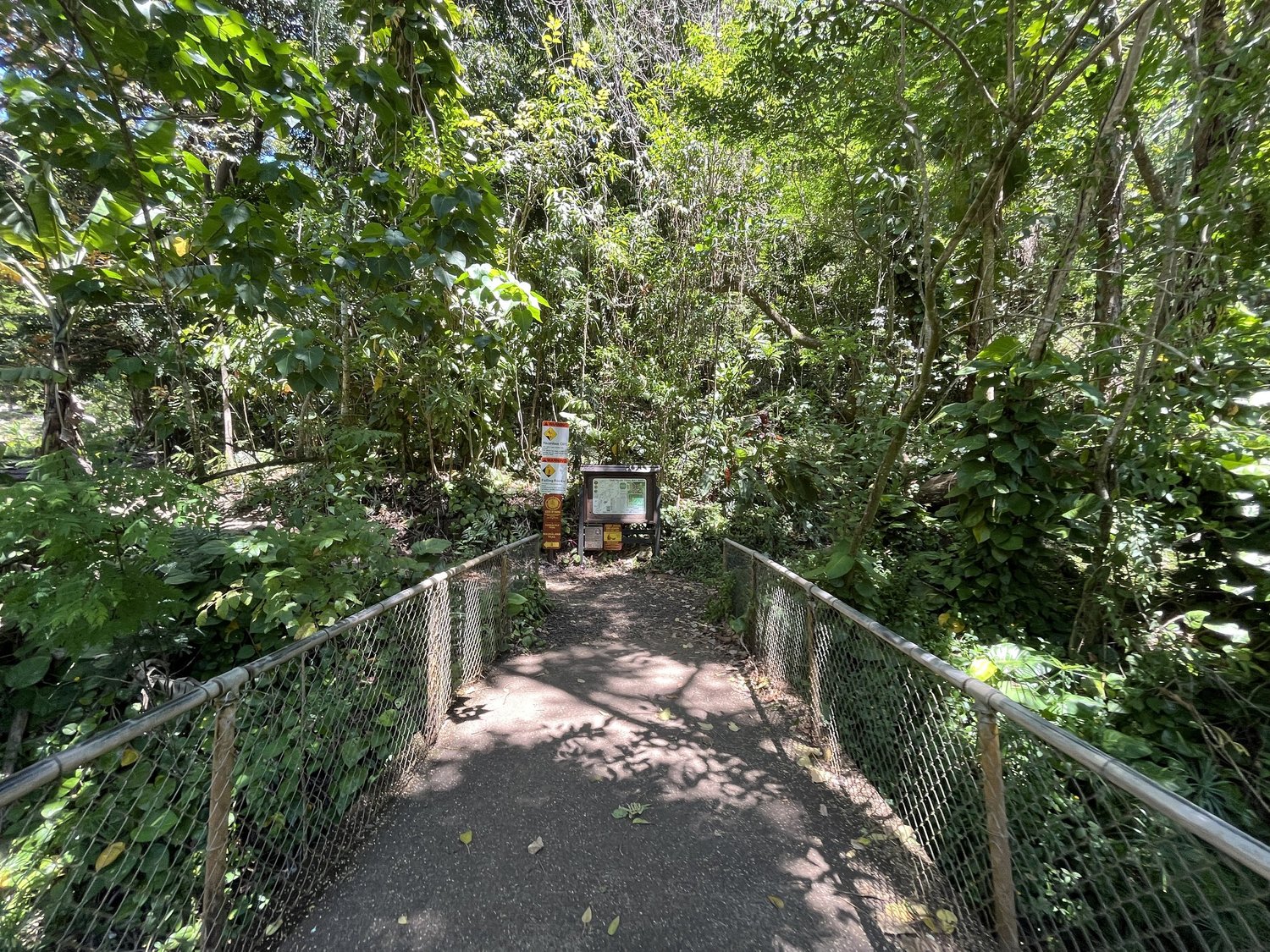 Hiking the Tantalus Loop Trail to the Pauoa Flats Bench on Oʻahu ...