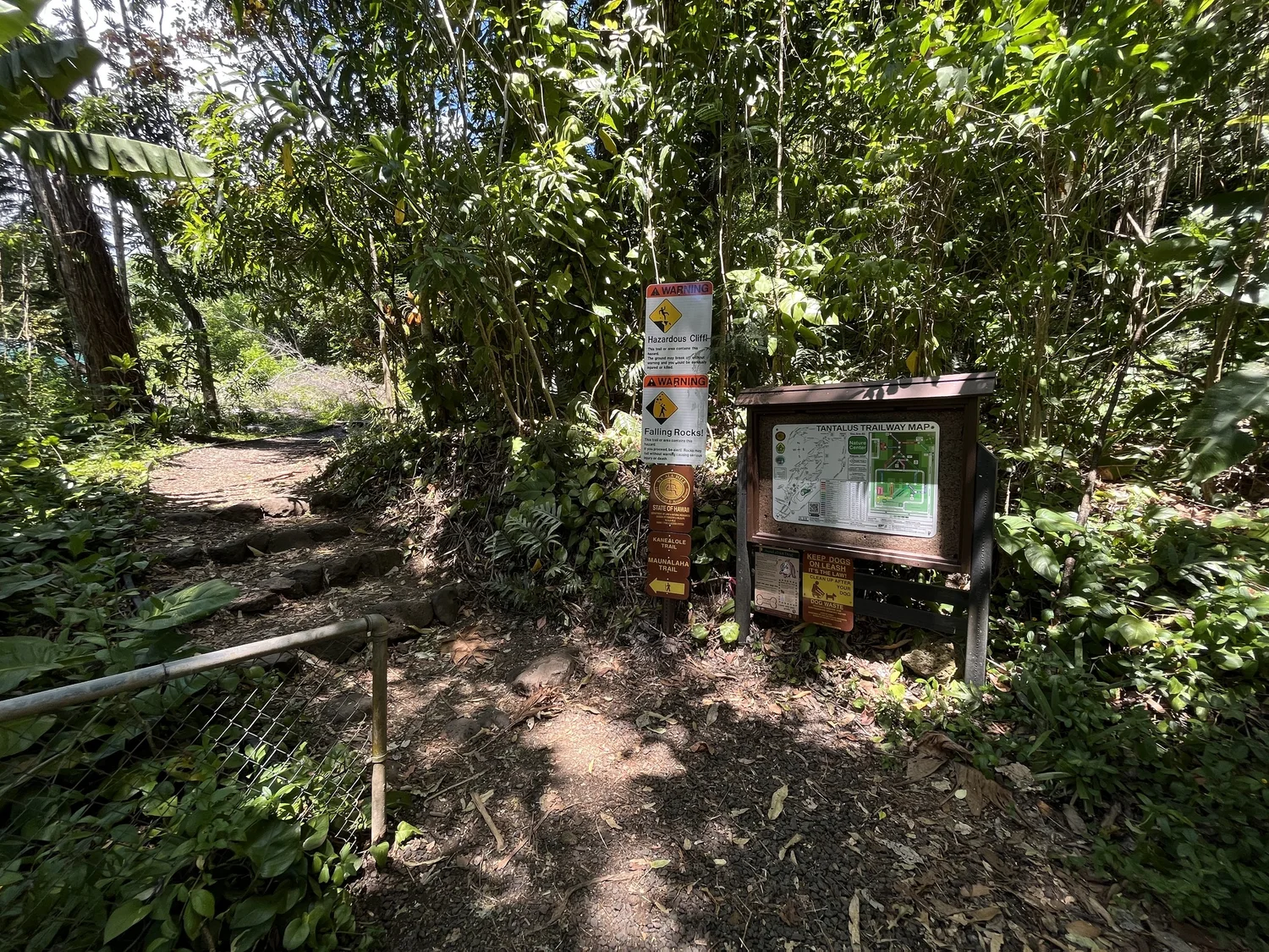 Hiking the Tantalus Loop Trail to the Pauoa Flats Bench on Oʻahu ...