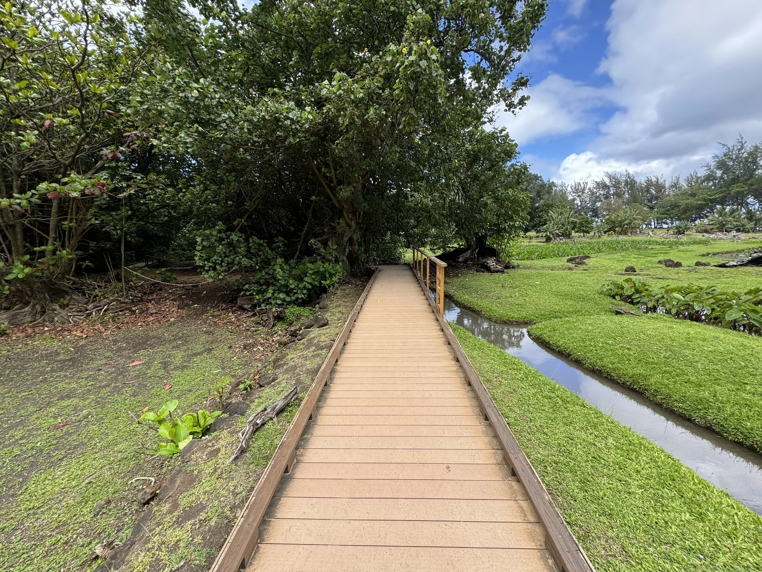 Hiking the Kalalau Trail on Kauaʻi’s Nāpali Coast — noahawaii