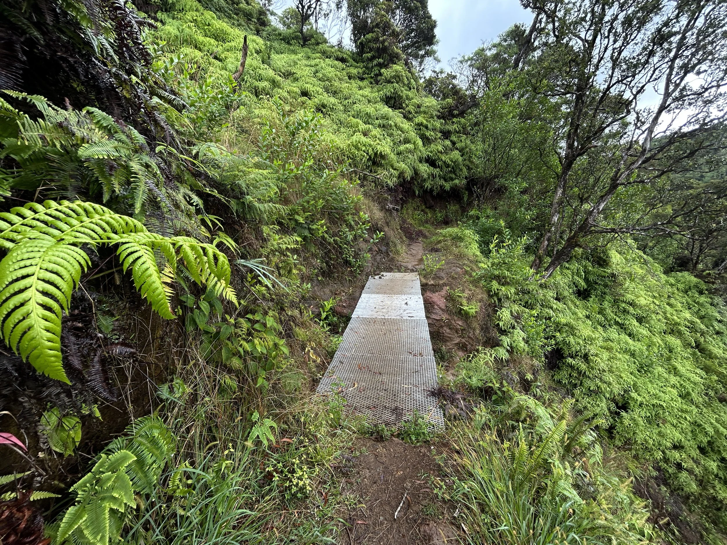 Hiking the Poamoho Trail on Oʻahu, Hawaiʻi — noahawaii