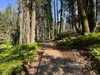 Hiking the Crescent Meadow Loop Trail in Sequoia National Park — noahawaii
