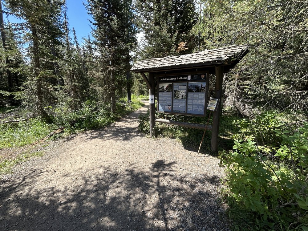 Hiking the Delta Lake Trail via Lupine Meadows in Grand Teton National ...