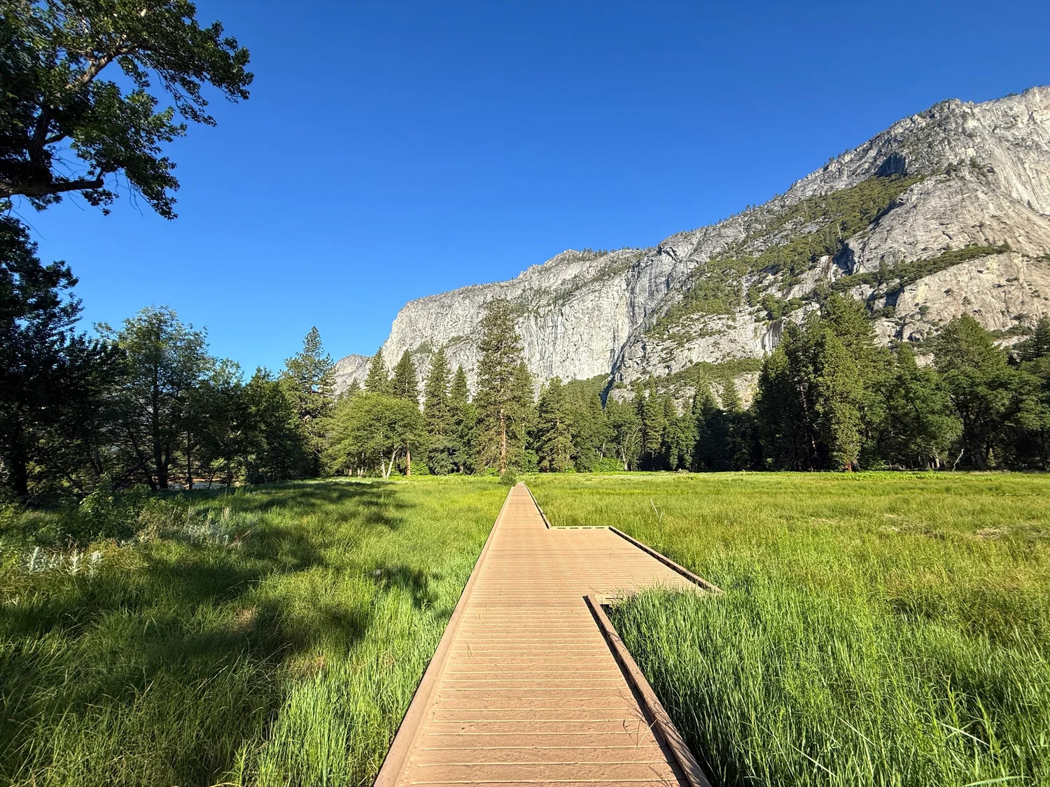 Hiking the Cook’s Meadow Loop Trail in Yosemite National Park — noahawaii