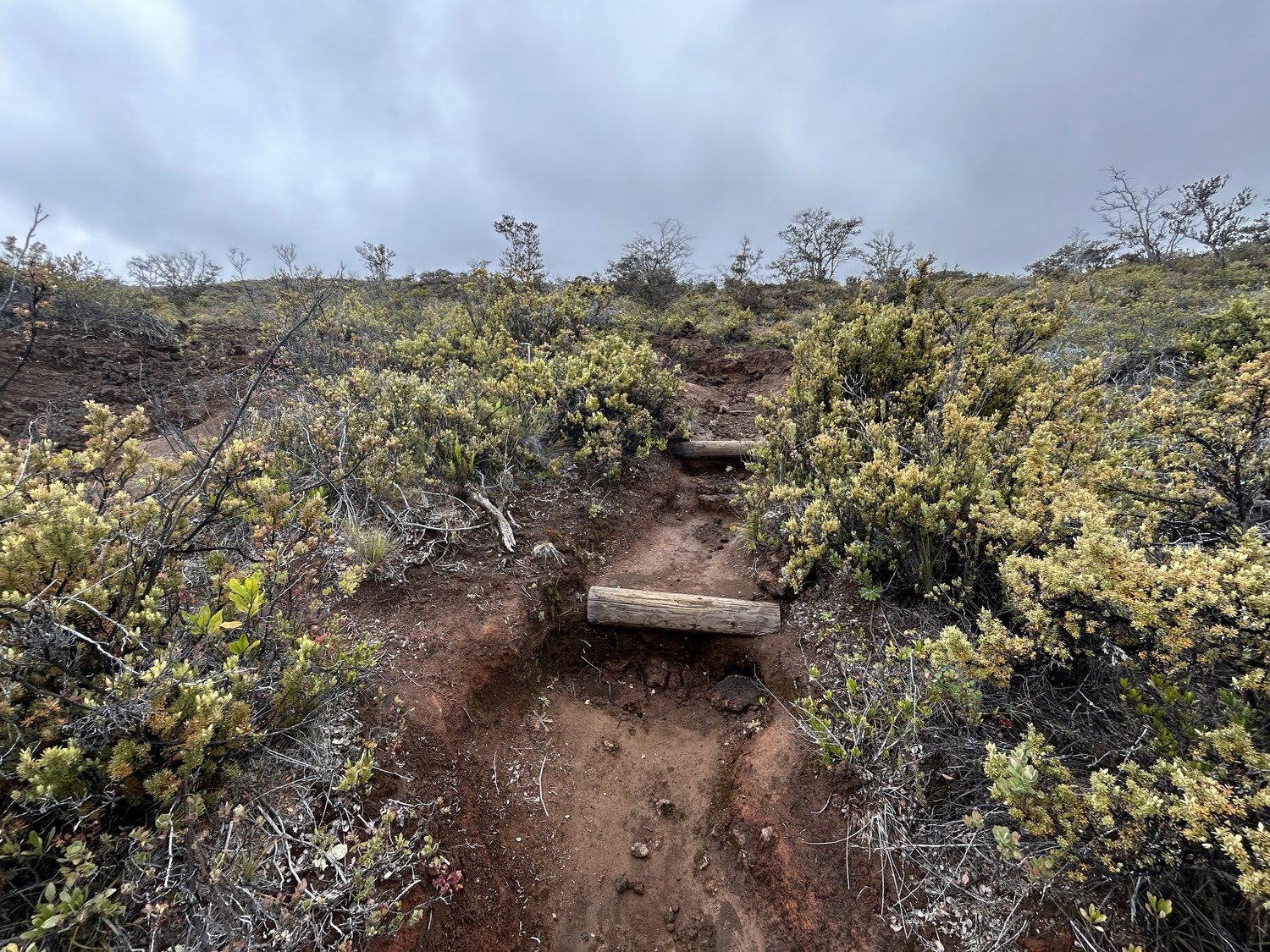 Hiking the Mauna Loa Trail to Red Hill Cabin (Puʻu ʻUlaʻula) in Hawaiʻi ...