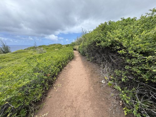 Hiking the ʻŌhai Loop Trail on Maui, Hawaiʻi — noahawaii
