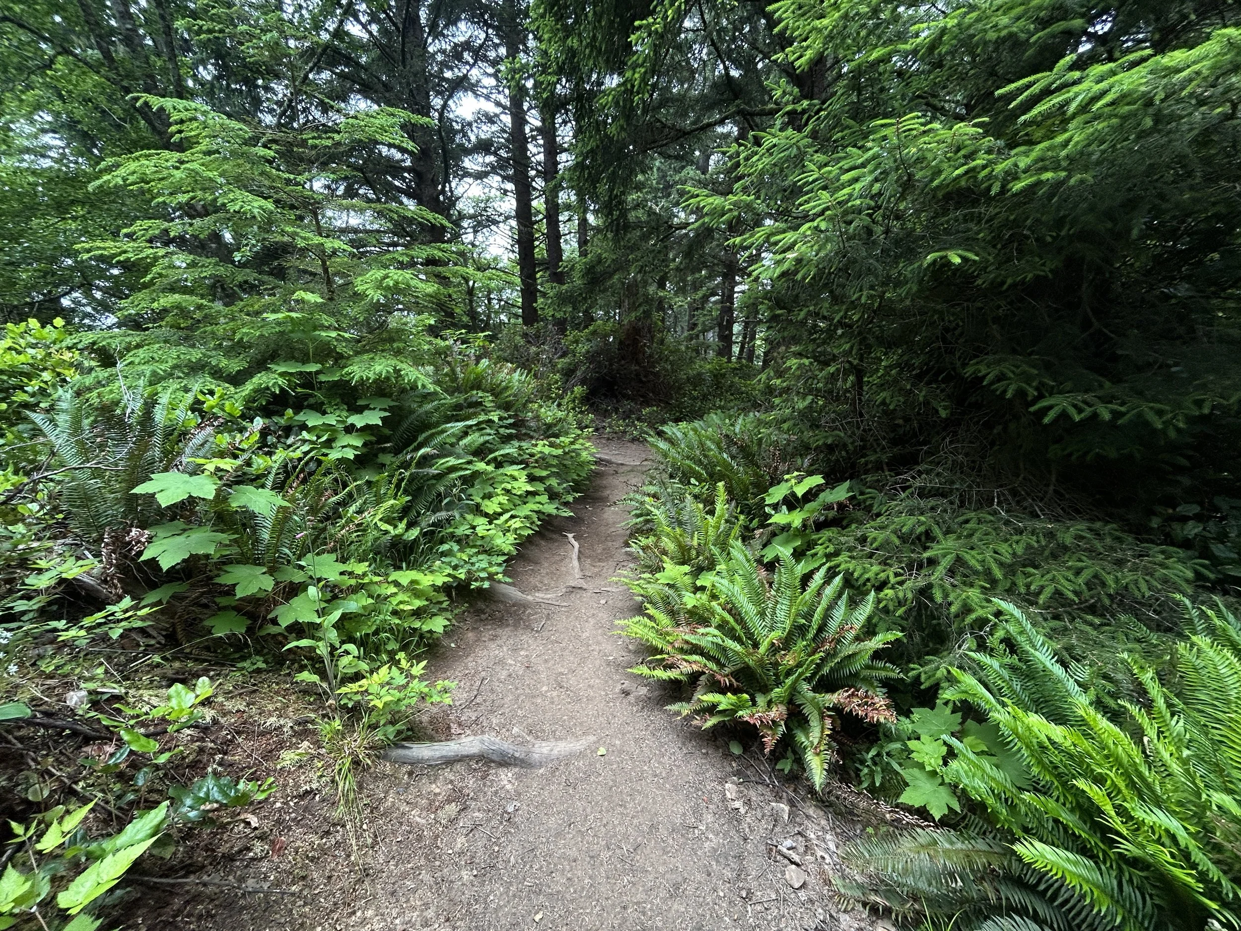 Hiking the Indian Beach Trail on the Oregon Coast — noahawaii