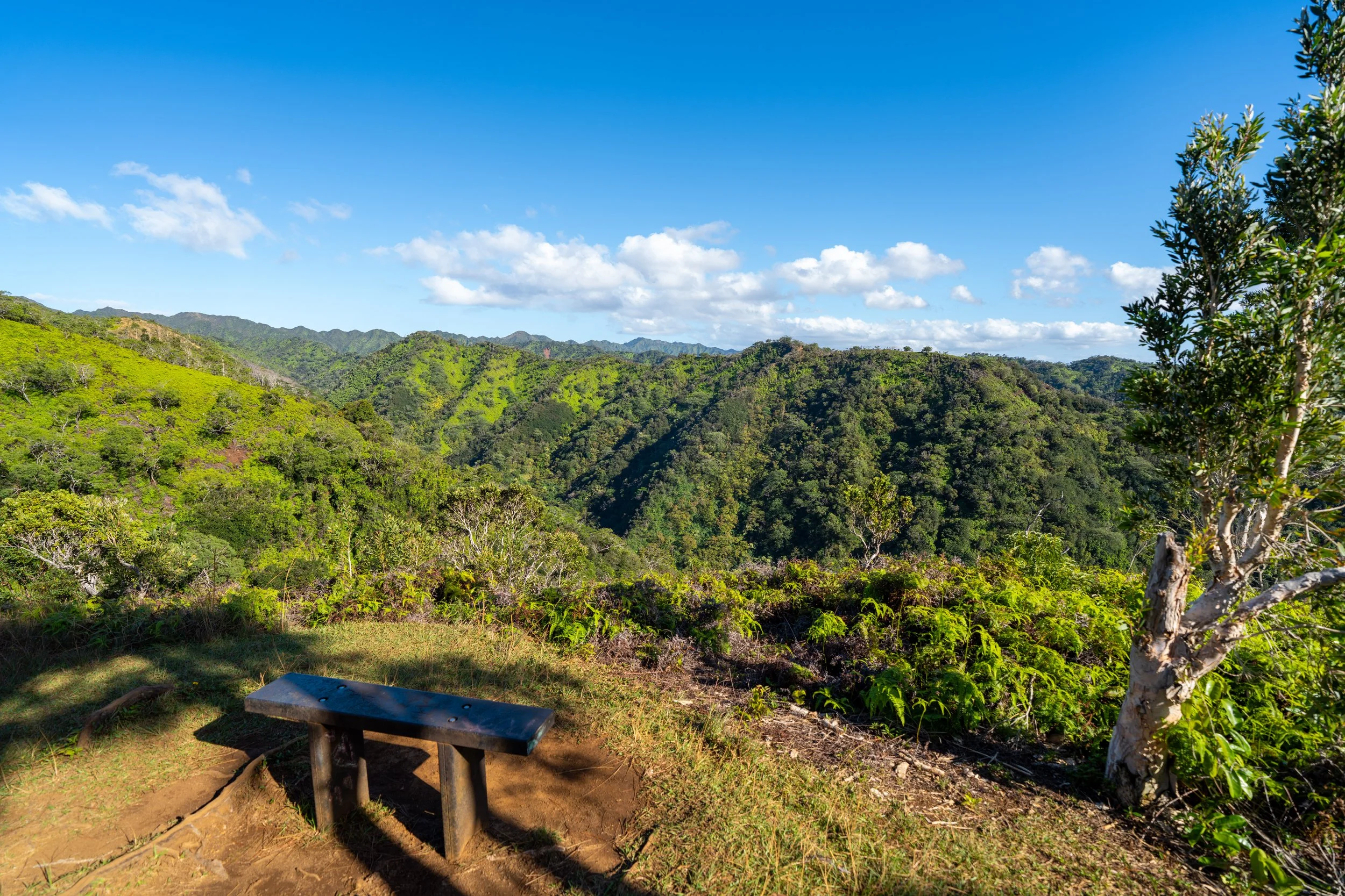 Hiking the Mānana Ridge Trail on Oʻahu, Hawaiʻi — noahawaii