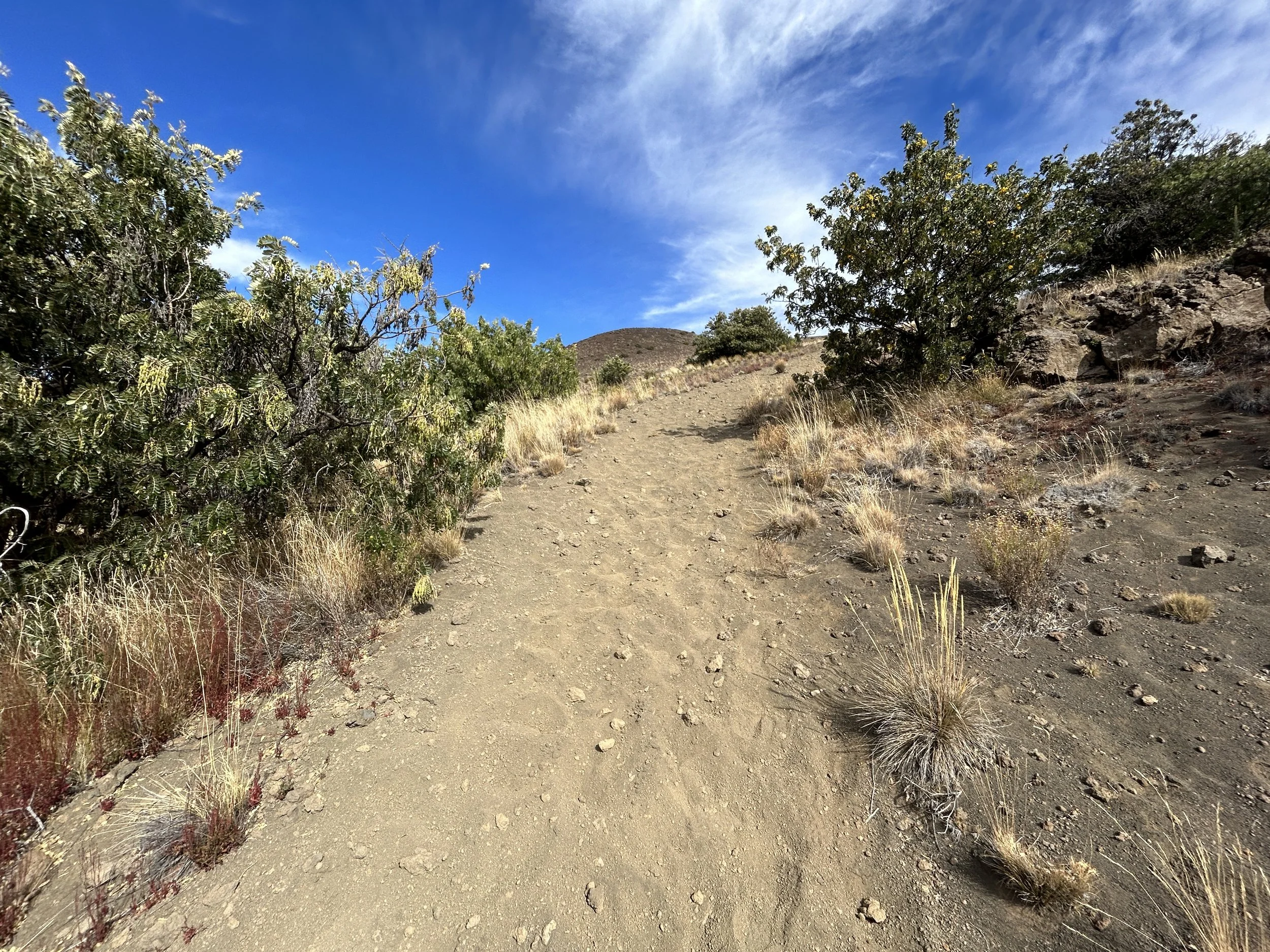 Hiking the Humuʻula Trail to Mauna Kea Summit on the Big Island of ...