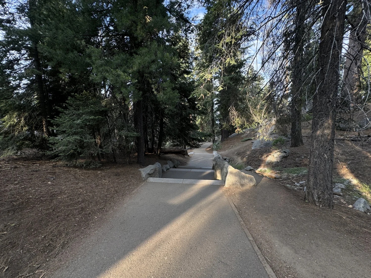 Hiking the Congress Trail in Sequoia National Park — noahawaii