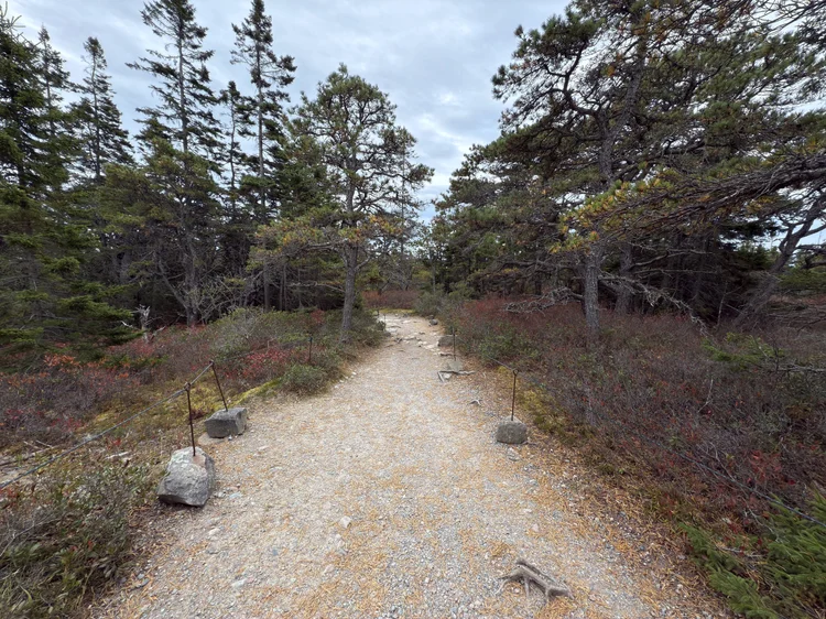 Hiking the Wonderland Trail in Acadia National Park — noahawaii